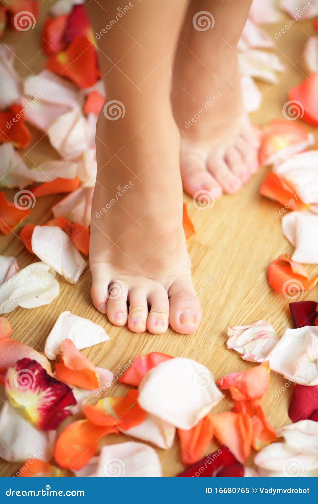 Feet and rose petals stock image. Image of care, pedicure - 16680765