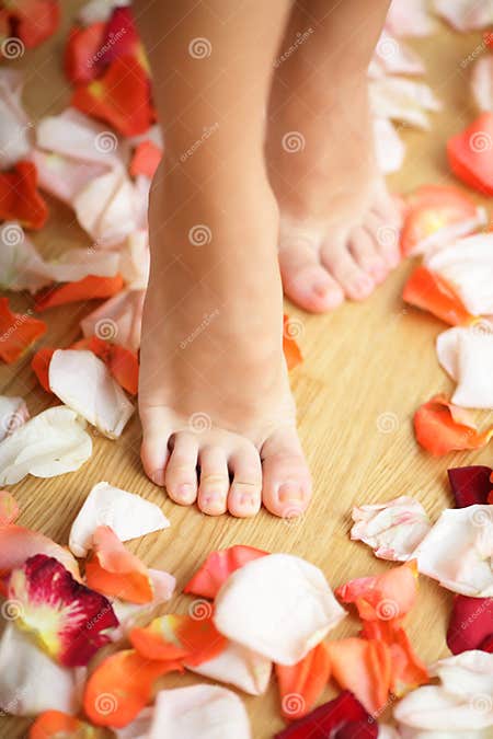 Feet and rose petals stock image. Image of care, pedicure - 16680765