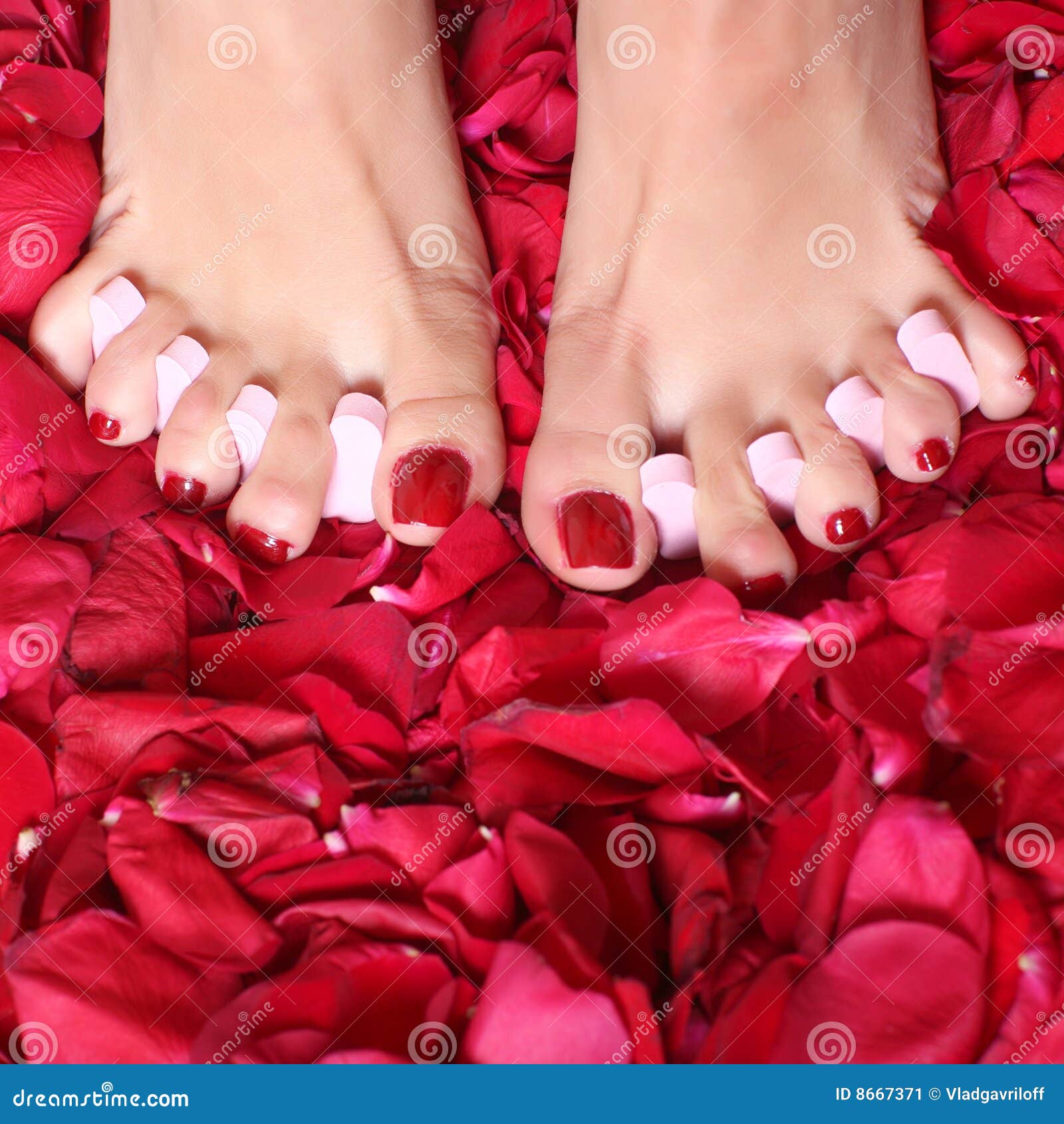 Feet and rose-petals stock image. Image of health, beauty - 8667371