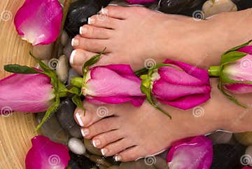 Feet and Roses stock image. Image of floral, french, mineral - 1957569