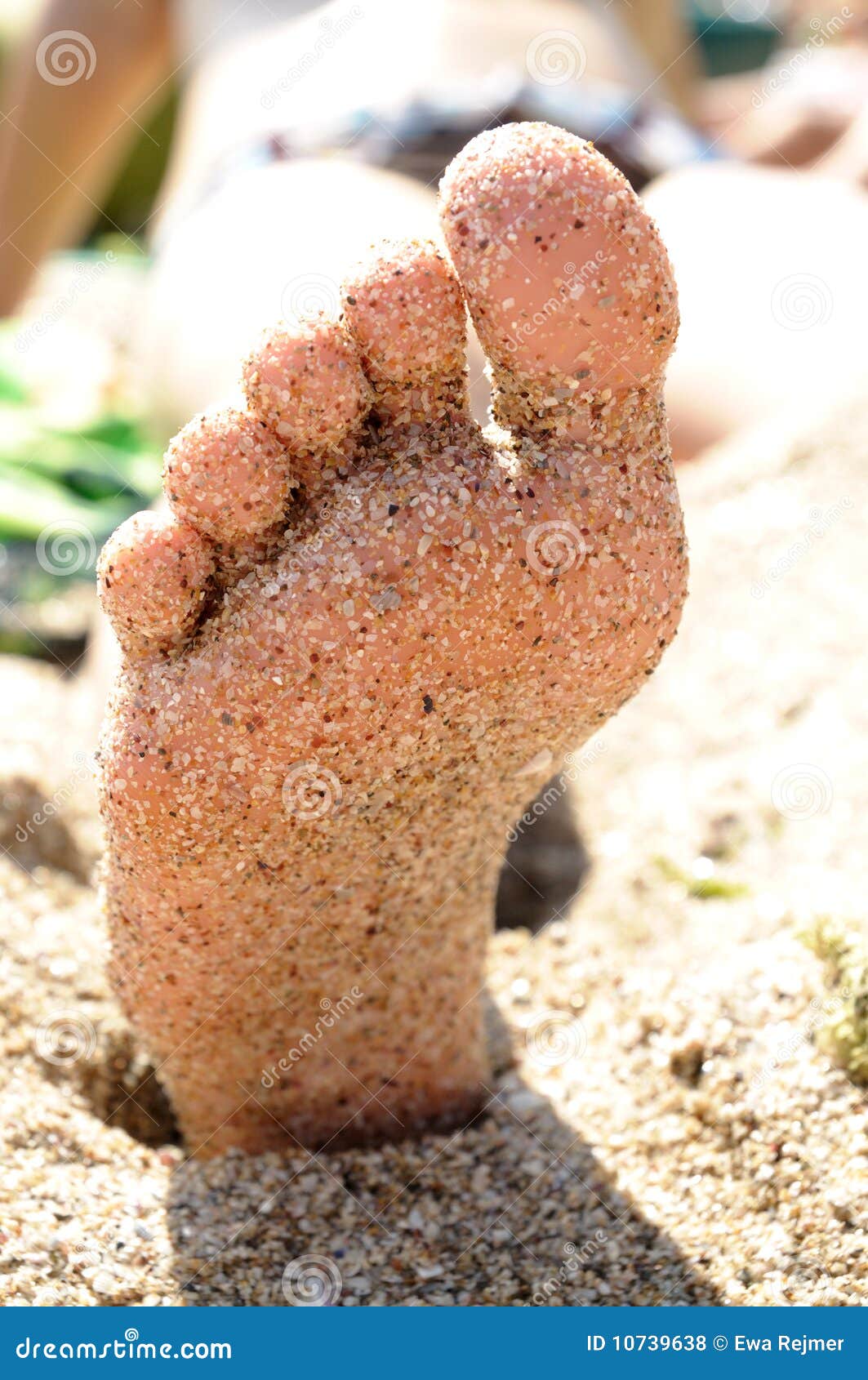 Feet in sand stock photo. Image of water, coast, beach - 10739638
