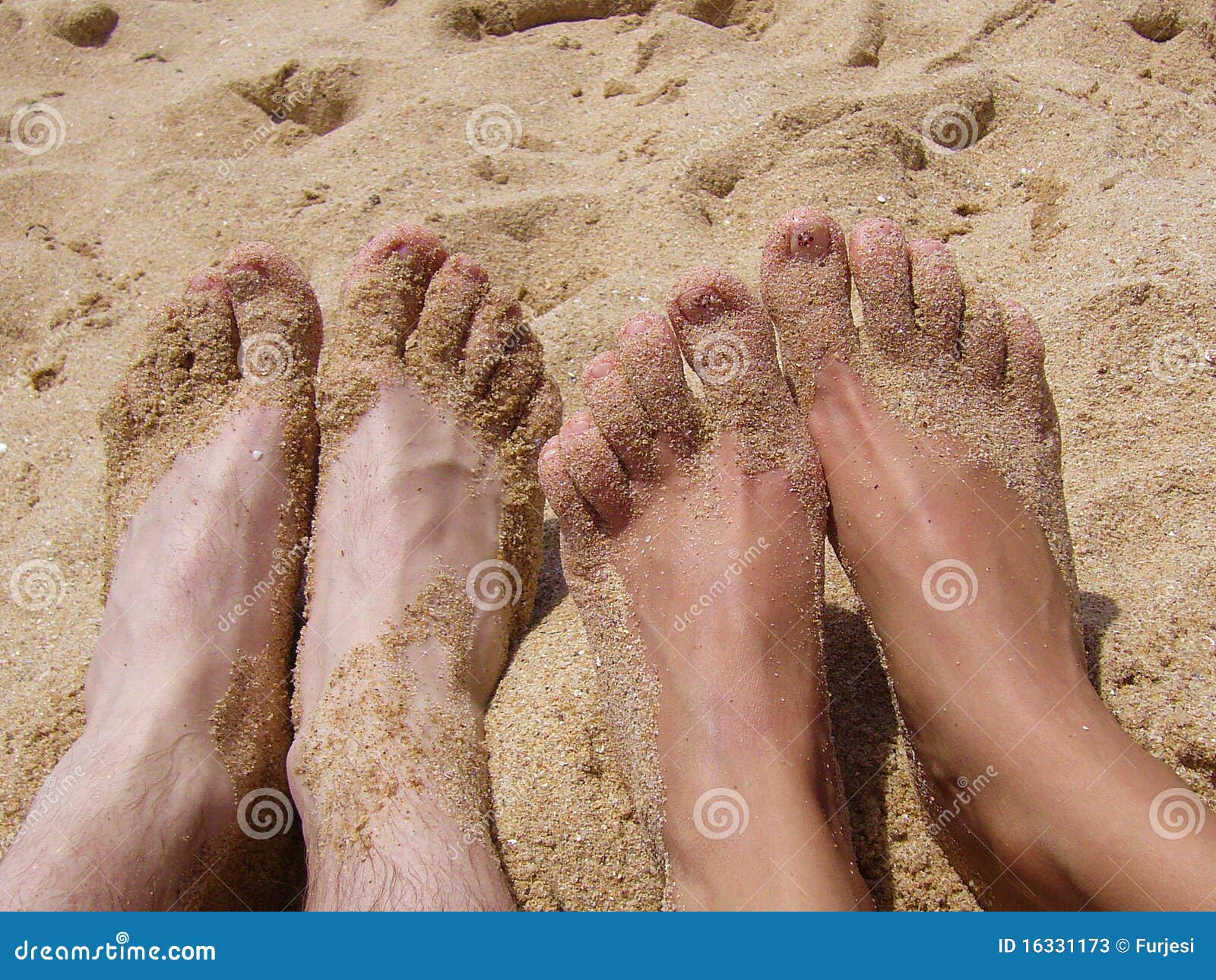 Feet in the sand stock image. Image of sandy, feet, ocean - 16331173