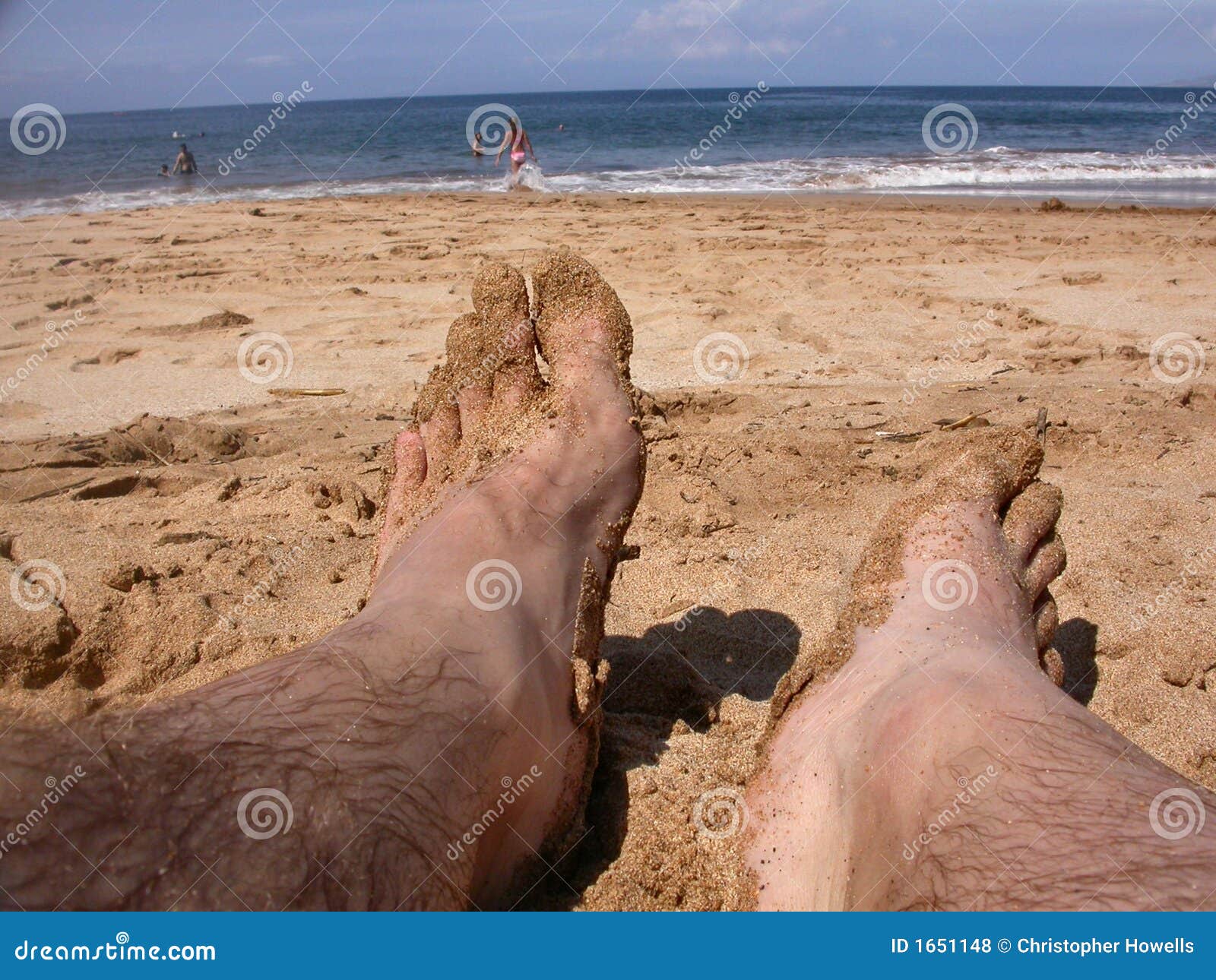 Clumpy Beach Stock Photos - Free & Royalty-Free Stock Photos from ...