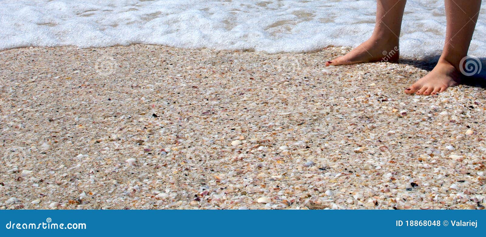 Sea Shells Feet Nails Beach Stock Photos - Free & Royalty-Free Stock ...