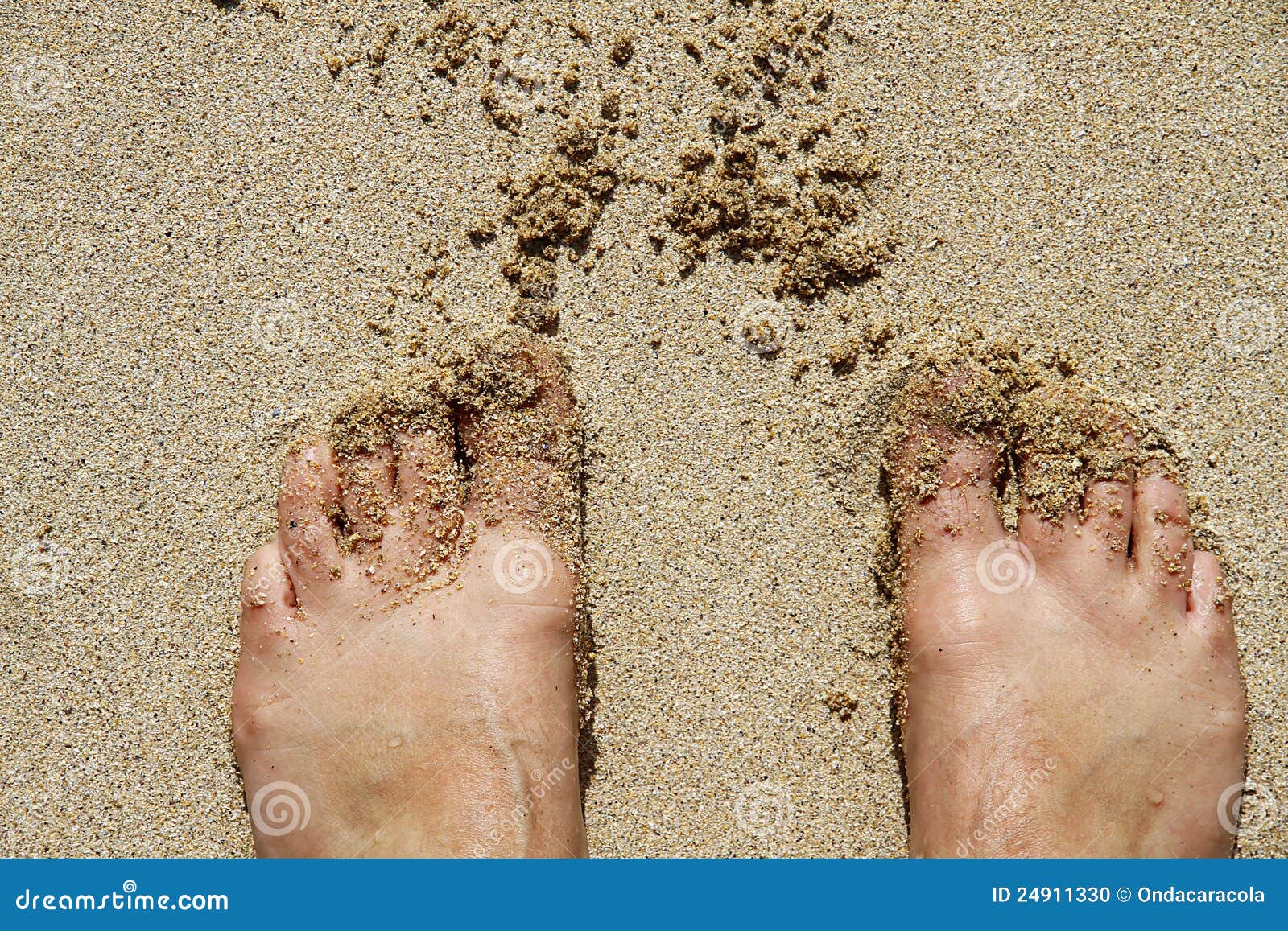 Feet in the sand stock photo. Image of human, delicate - 24911330