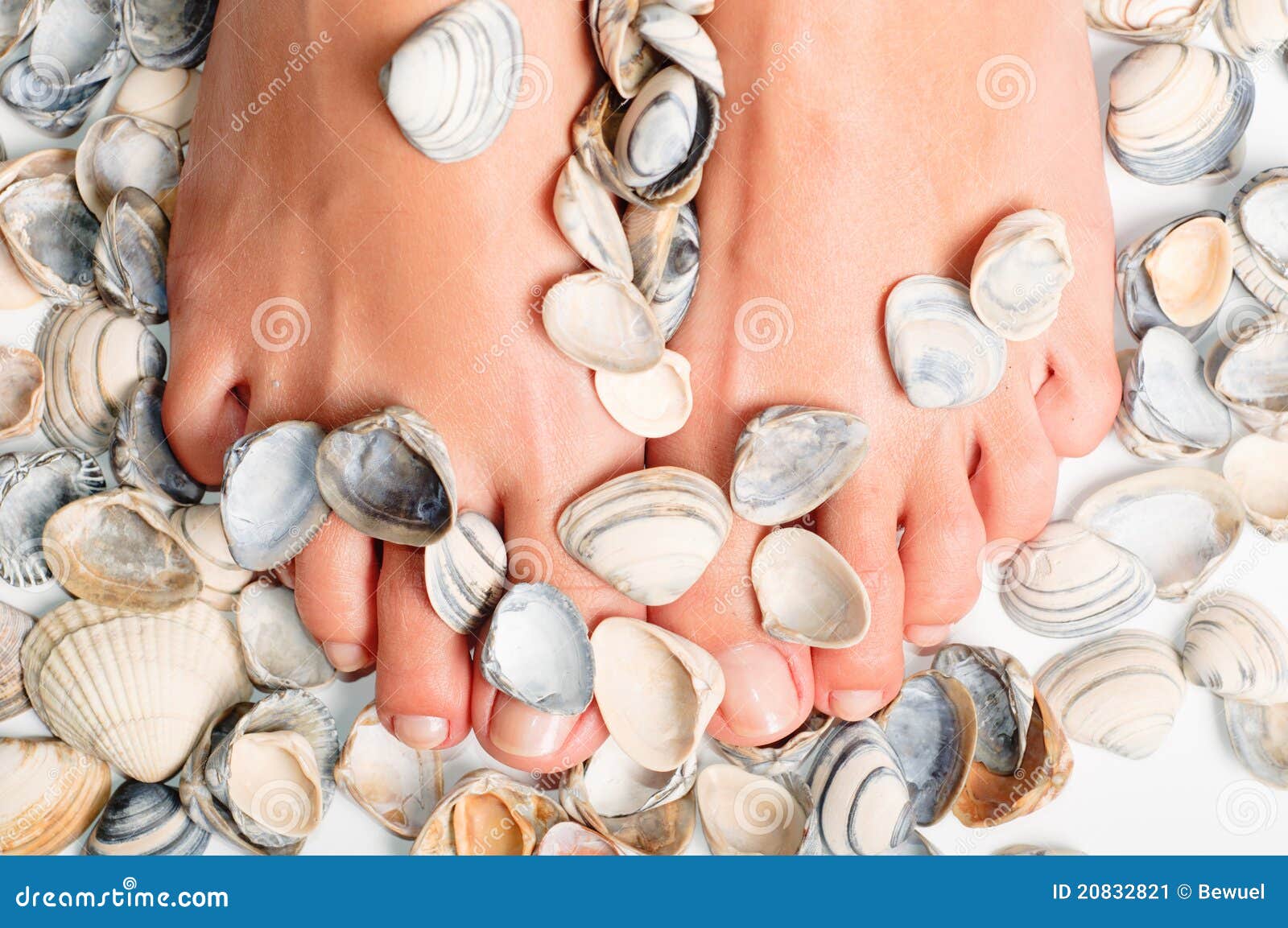 Feet and Sea Shells, Background Stock Image - Image of white, young ...