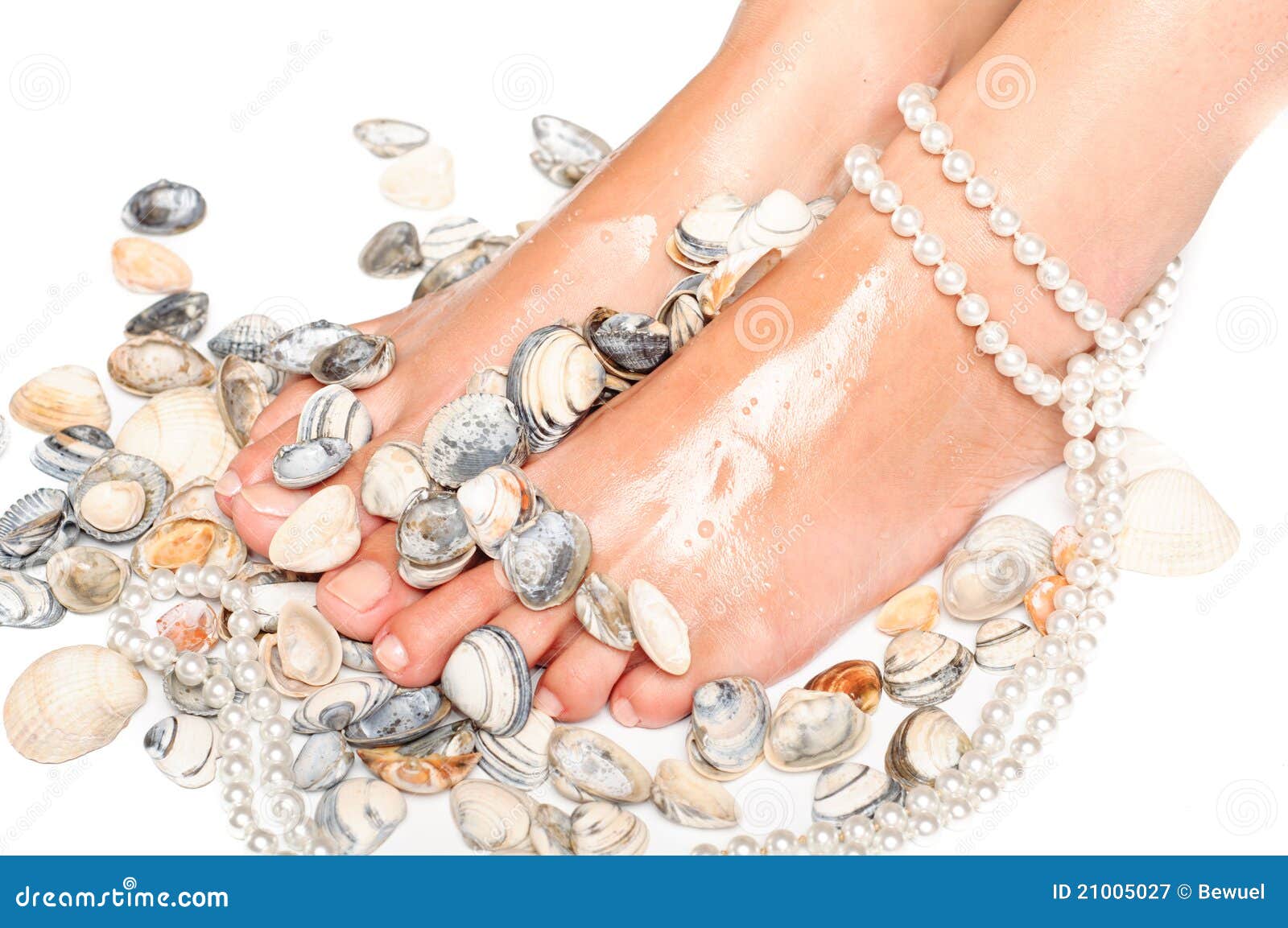 Feet and seashells stock image. Image of pink, human - 21005027