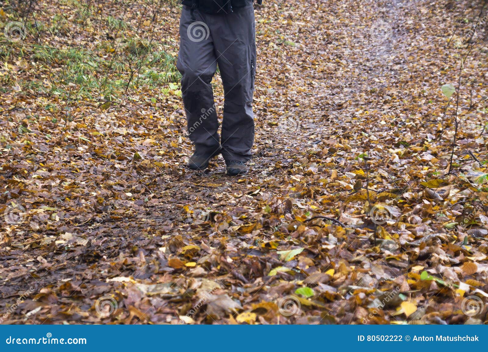 Feet in Shoes on a Forest Path Stock Photo - Image of foot, relaxation ...