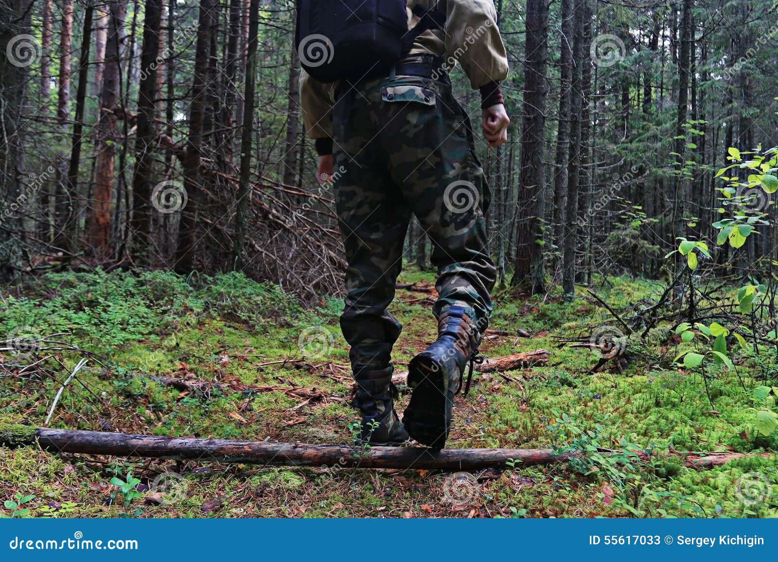 Feet in Shoes Stepping in Forest Stock Image - Image of active, hiker ...