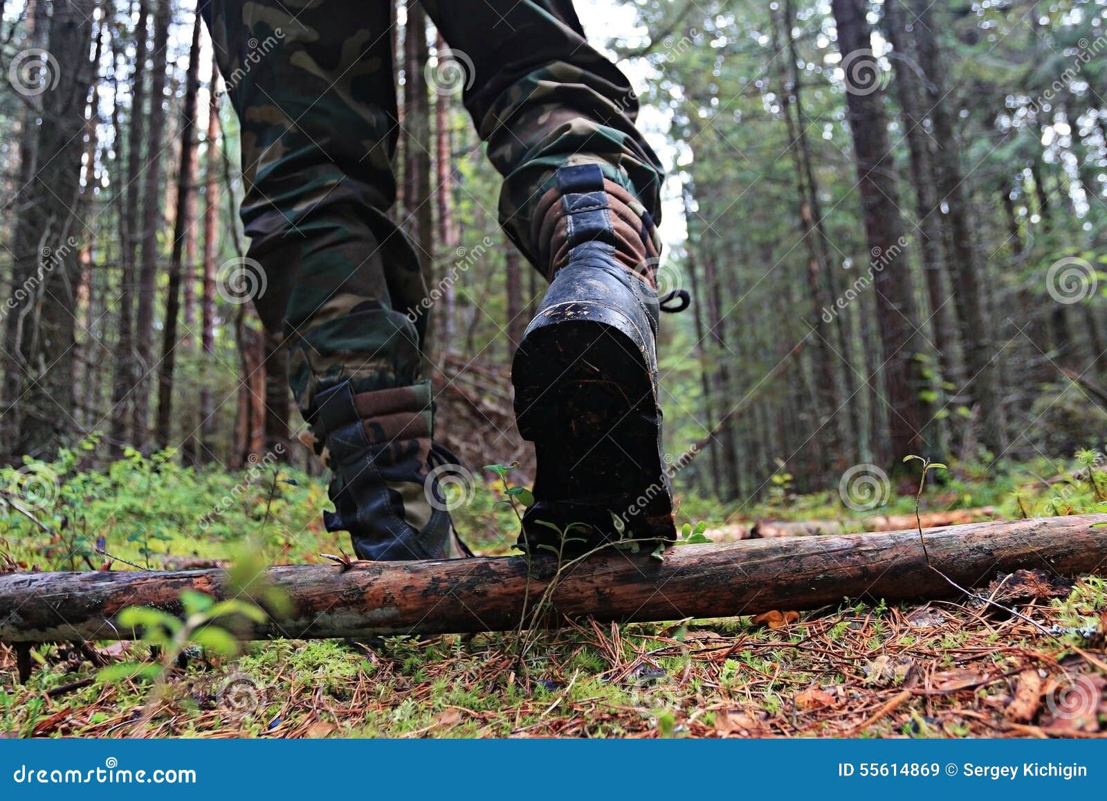 Feet in Shoes Stepping at Forest Stock Image - Image of active, boots ...