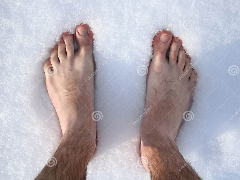 Feet in snow stock photo. Image of toes, frost, tempered - 13554142