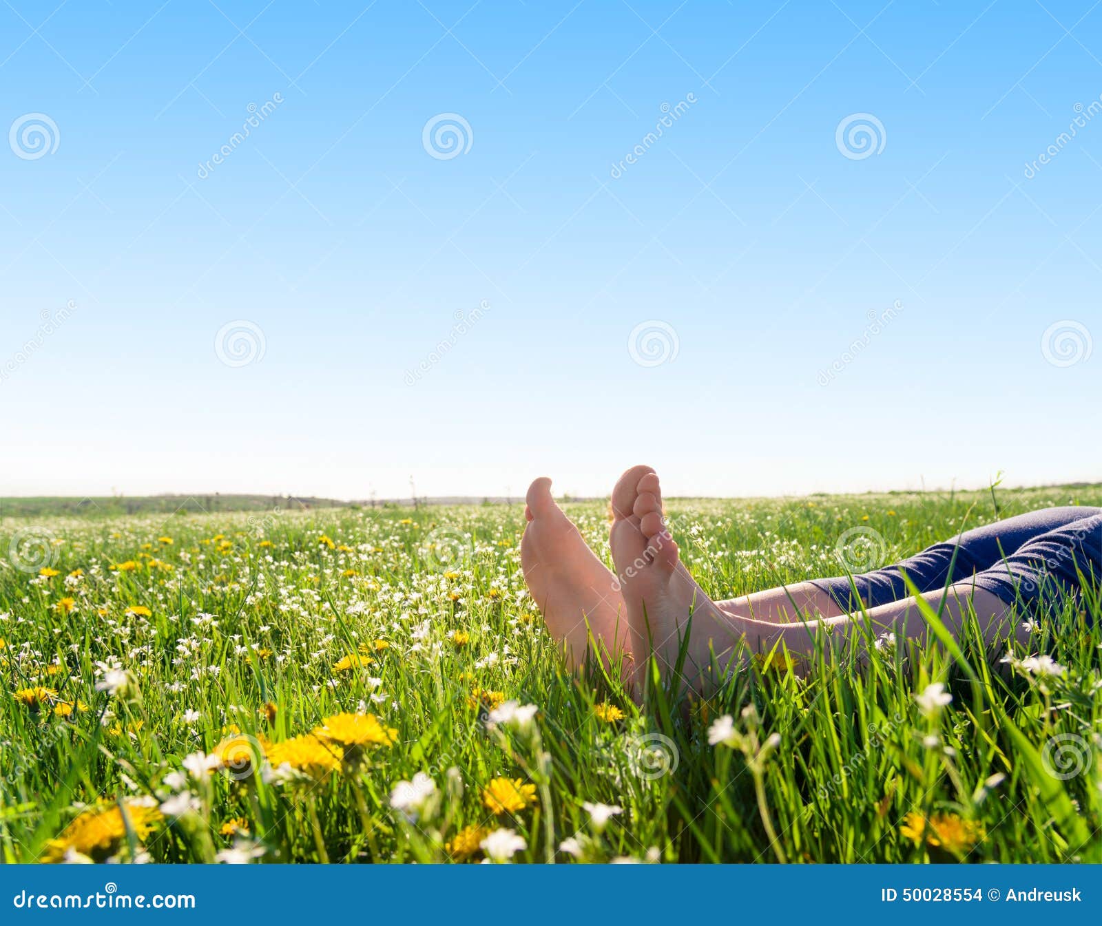 Feet on Spring Grass and Flowers Stock Photo - Image of summer, human ...