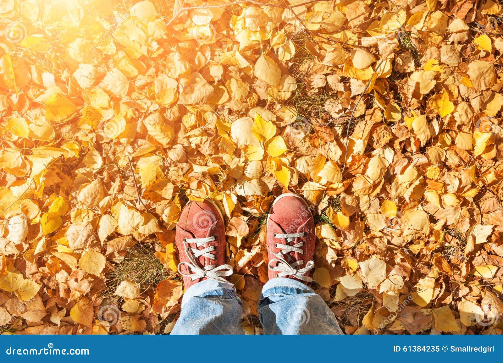 Feet Standing on Fallen Autumn Leaves Stock Image - Image of herb ...
