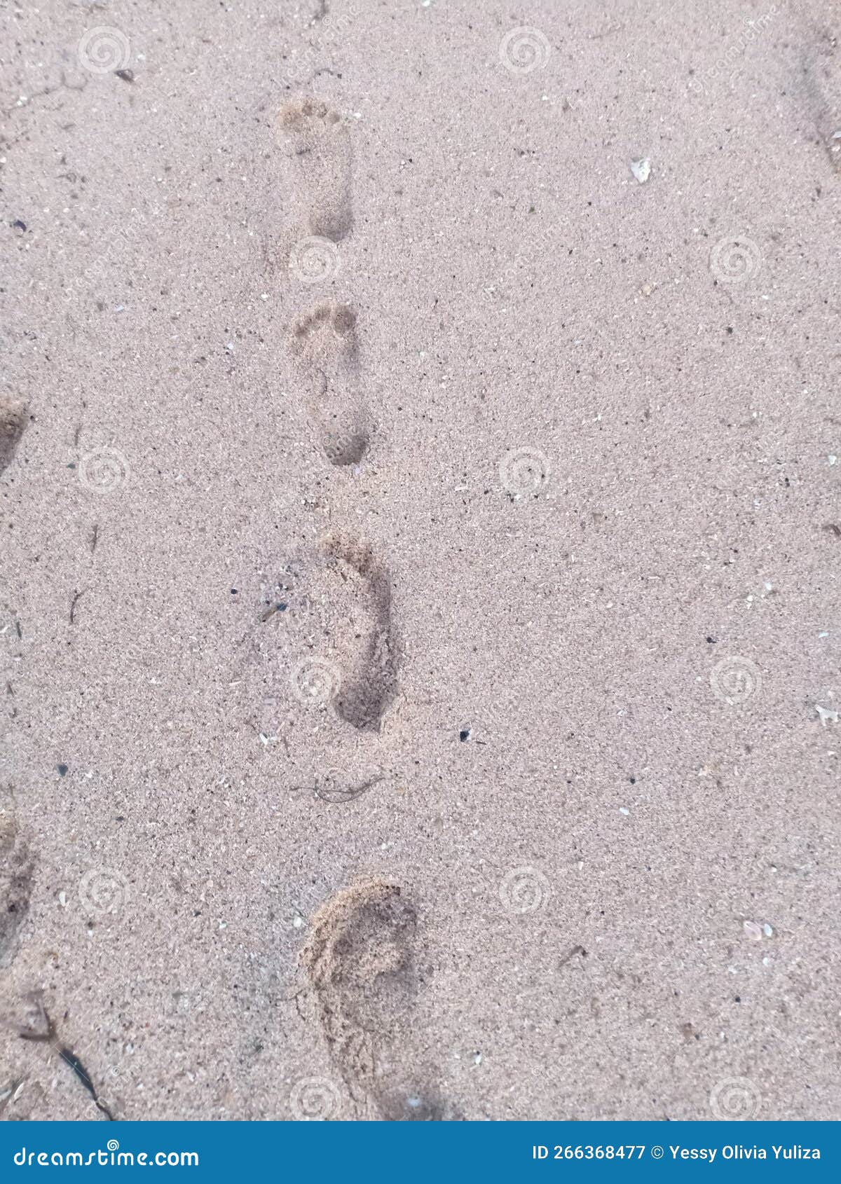 Boy`s Feet Step On A Rope Royalty-Free Stock Photography ...
