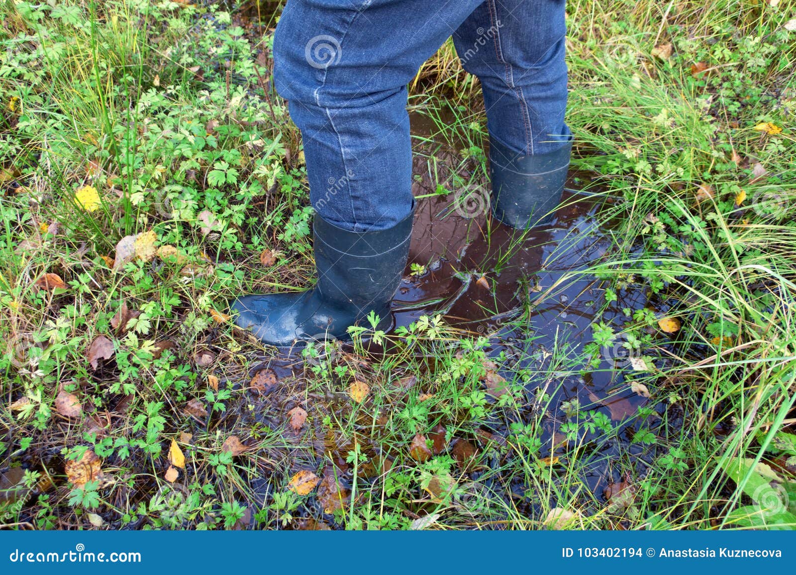 Feet in the swamp stock photo. Image of stand, feet - 103402194