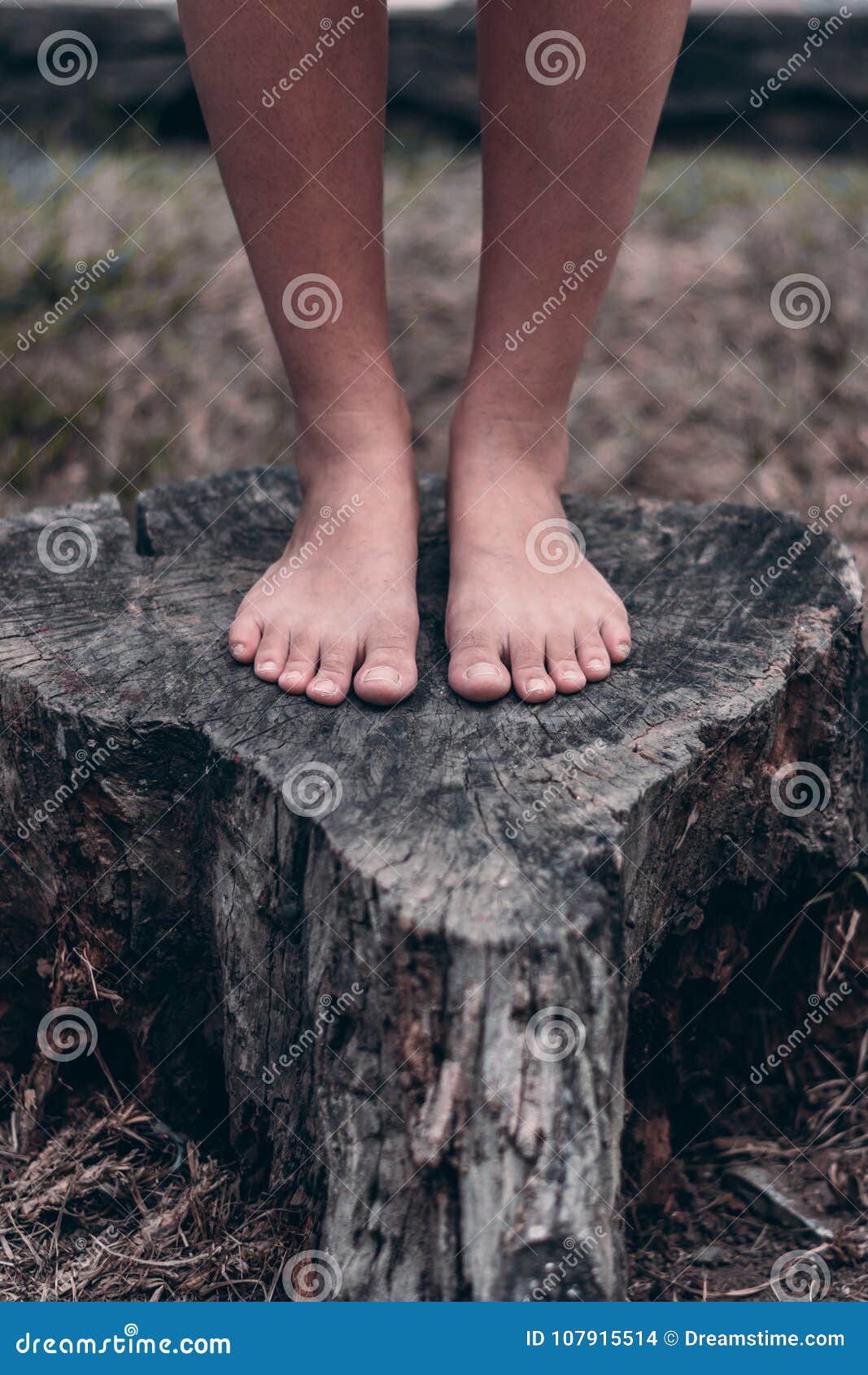 Feet on the Tree in Deforestation Stock Photo - Image of important ...
