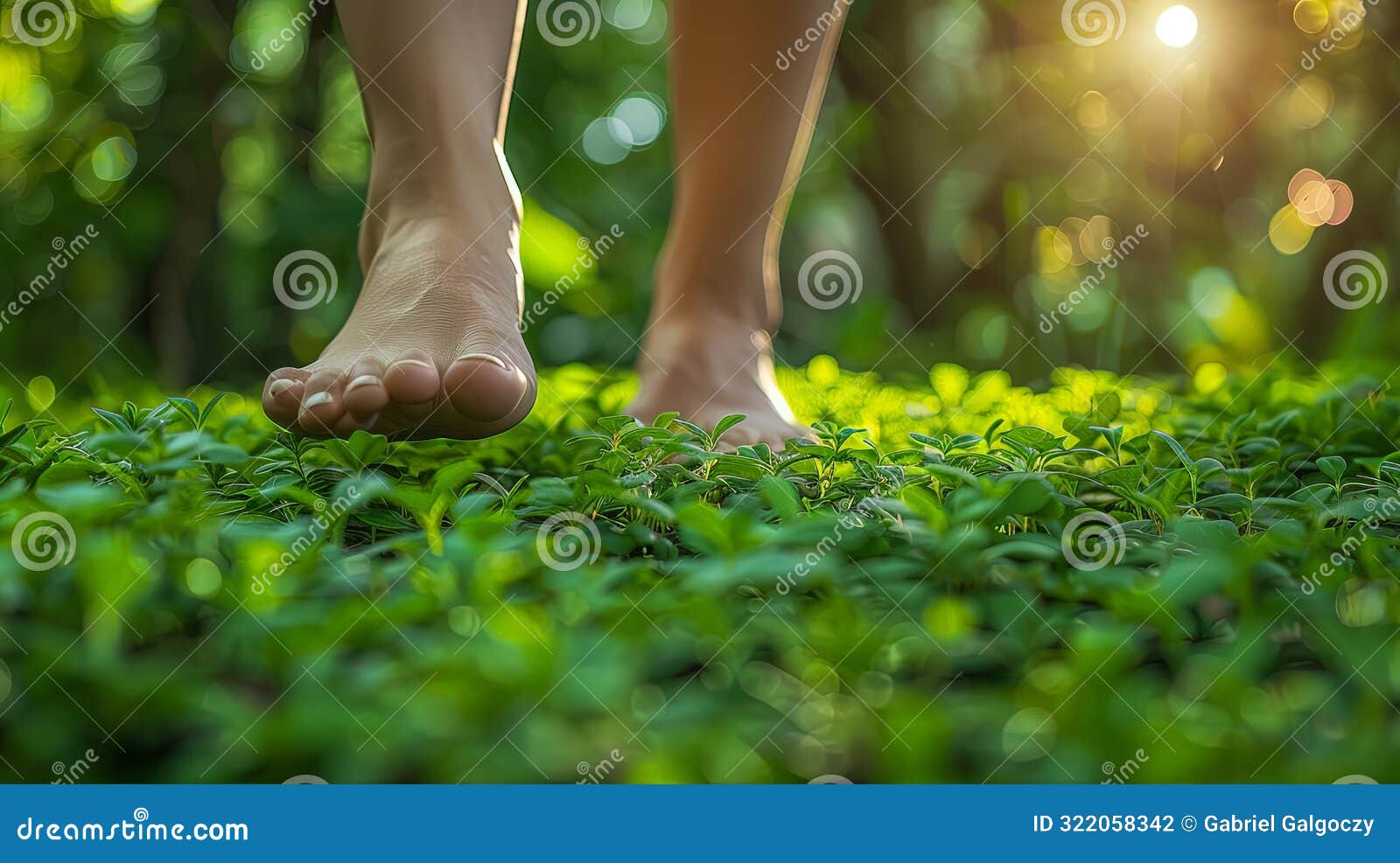 Feet In Barefoot And Regular Shoes Vector Illustration Infographic ...