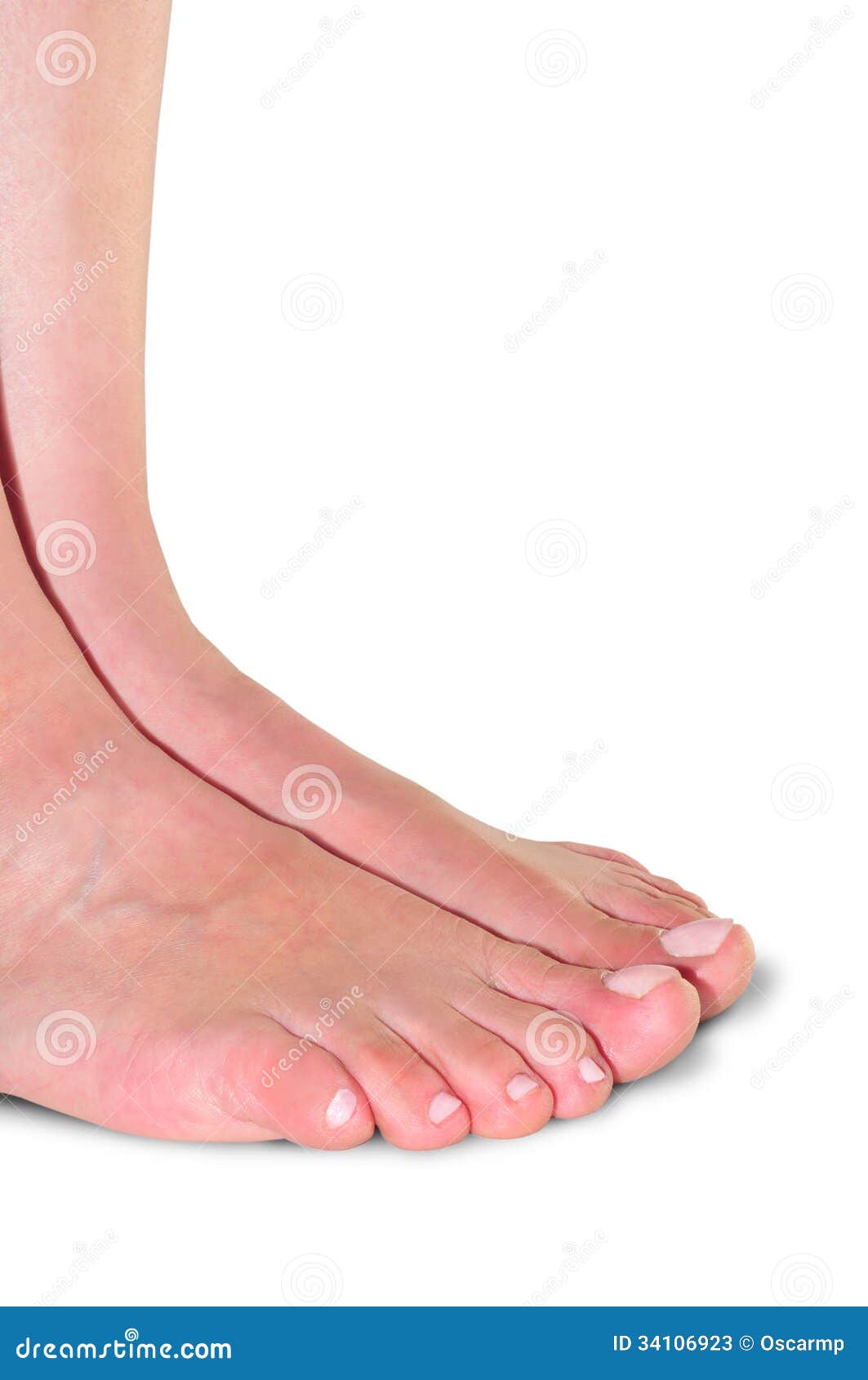 Feet stock image. Image of hygiene, massage, podlogo - 34106923