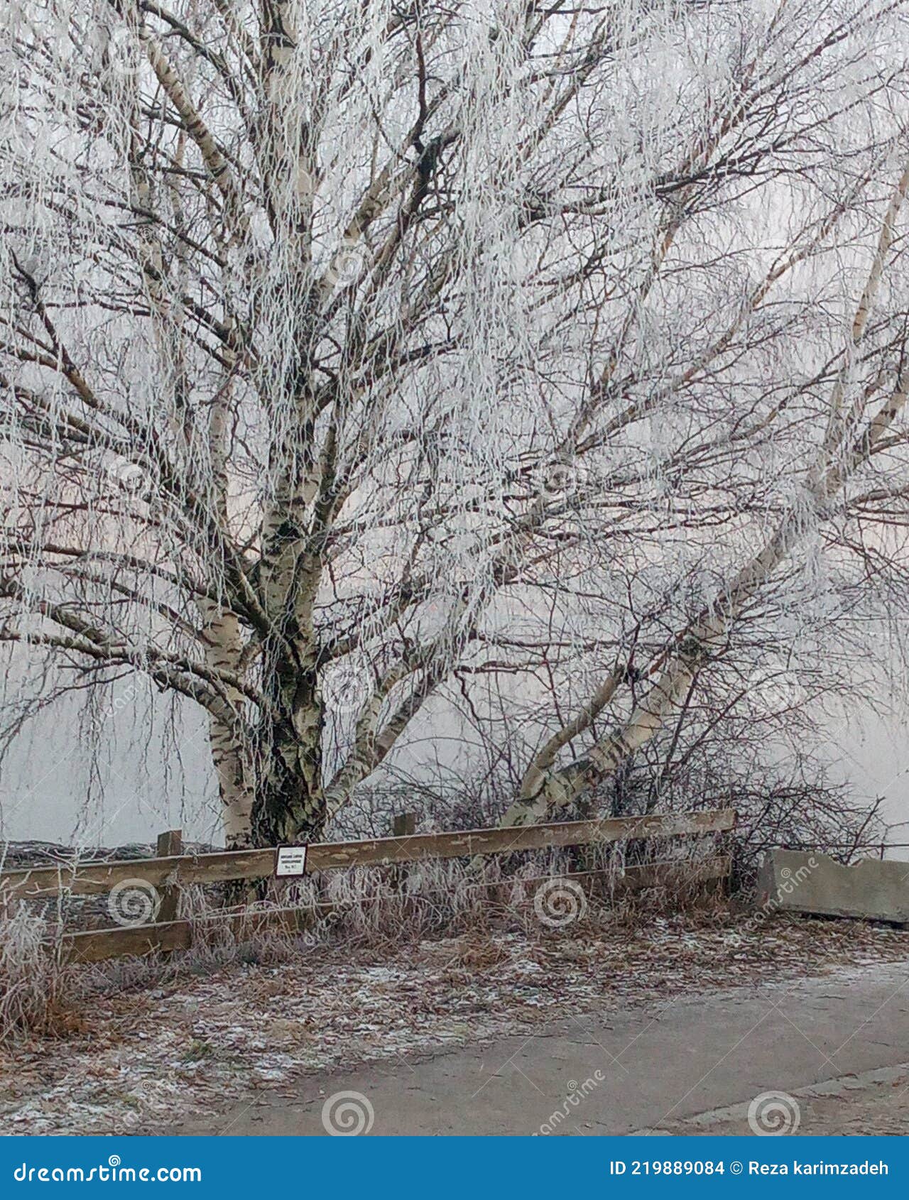 Feezing Day Stock Photos - Free & Royalty-Free Stock Photos from Dreamstime