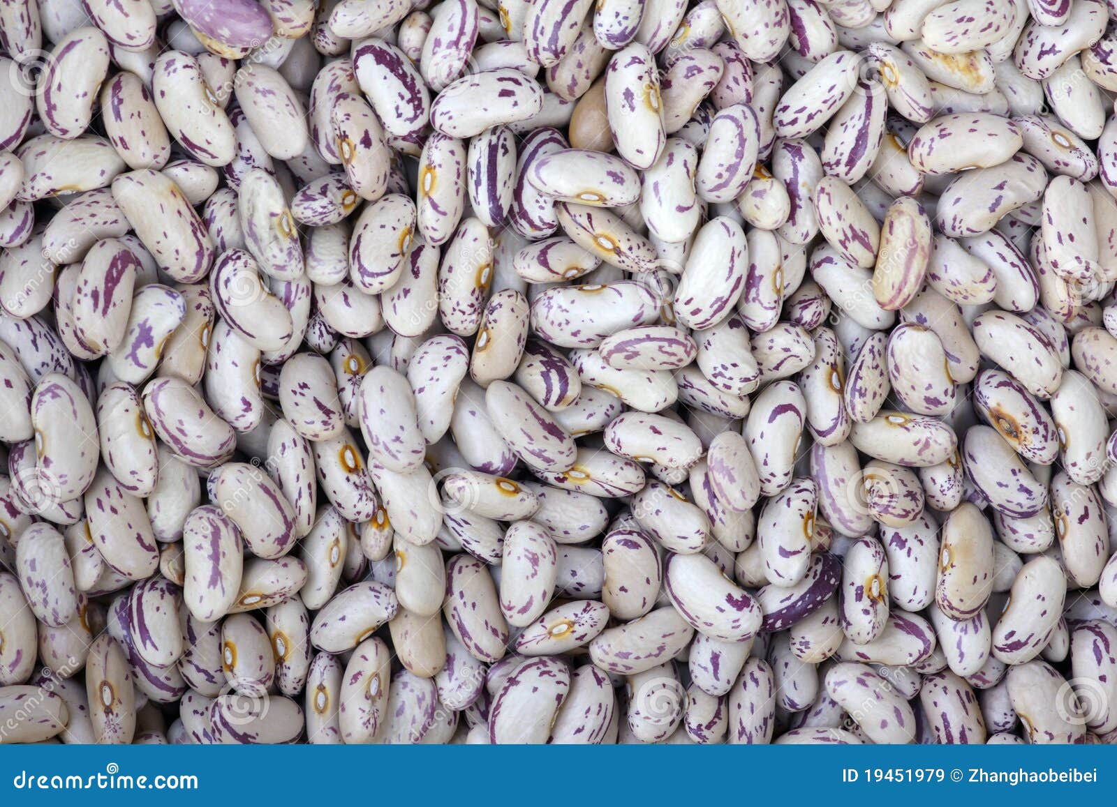 Feijão-roxo imagem de stock. Imagem de salpico, leguminosa - 19451979