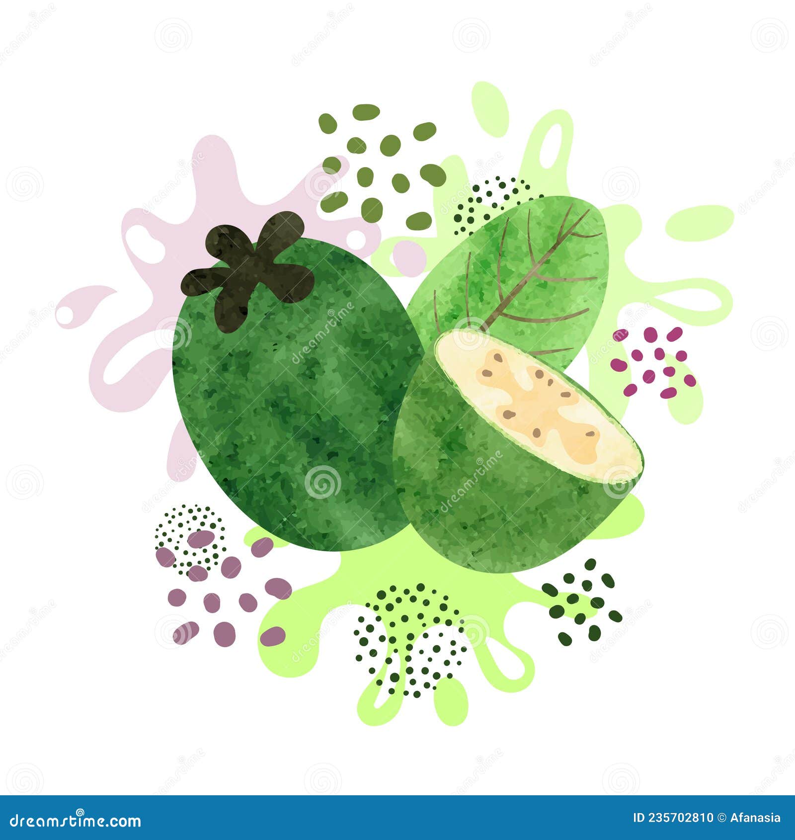 Feijoa Fruit with Splashes. Stock Vector - Illustration of vector ...