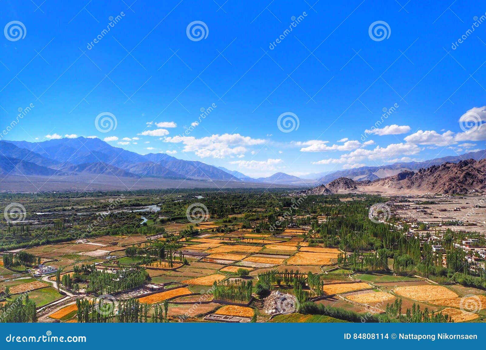 Feild view with blue sky stock photo. Image of feild - 84808114