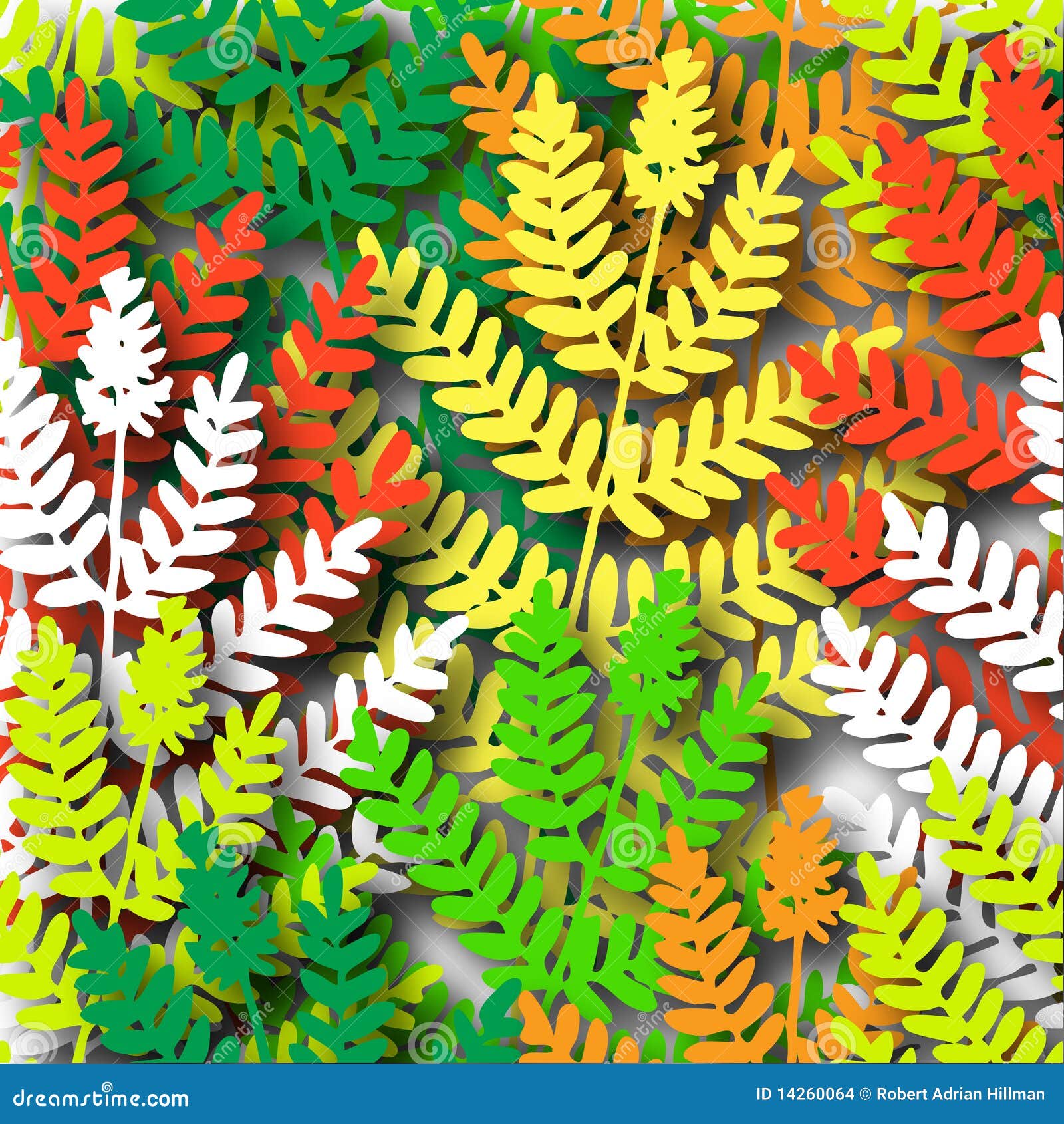 Felci illustrazione di stock. Illustrazione di colorato - 14260064