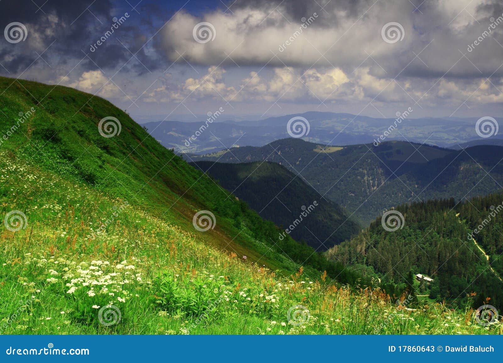 Feldberg stock image. Image of ridge, beatiful, tree - 17860643