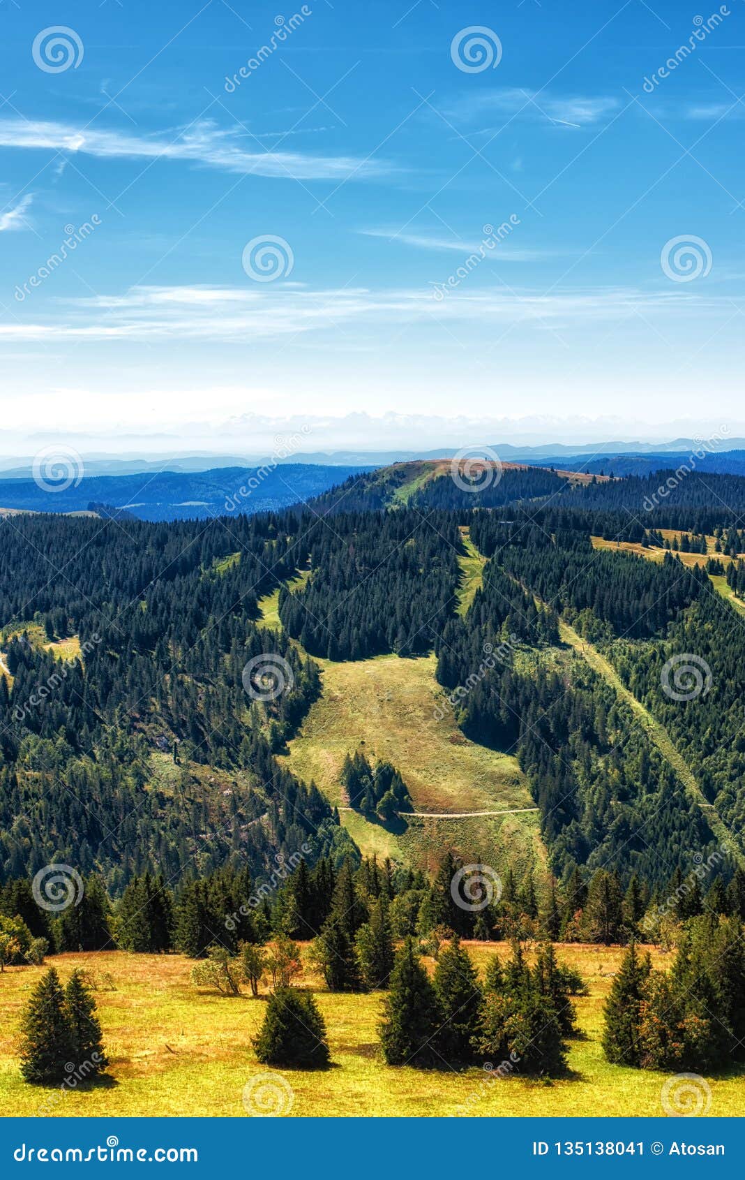 Feldberg Black Forest Germany Stock Photos - Download 389 Royalty Free ...