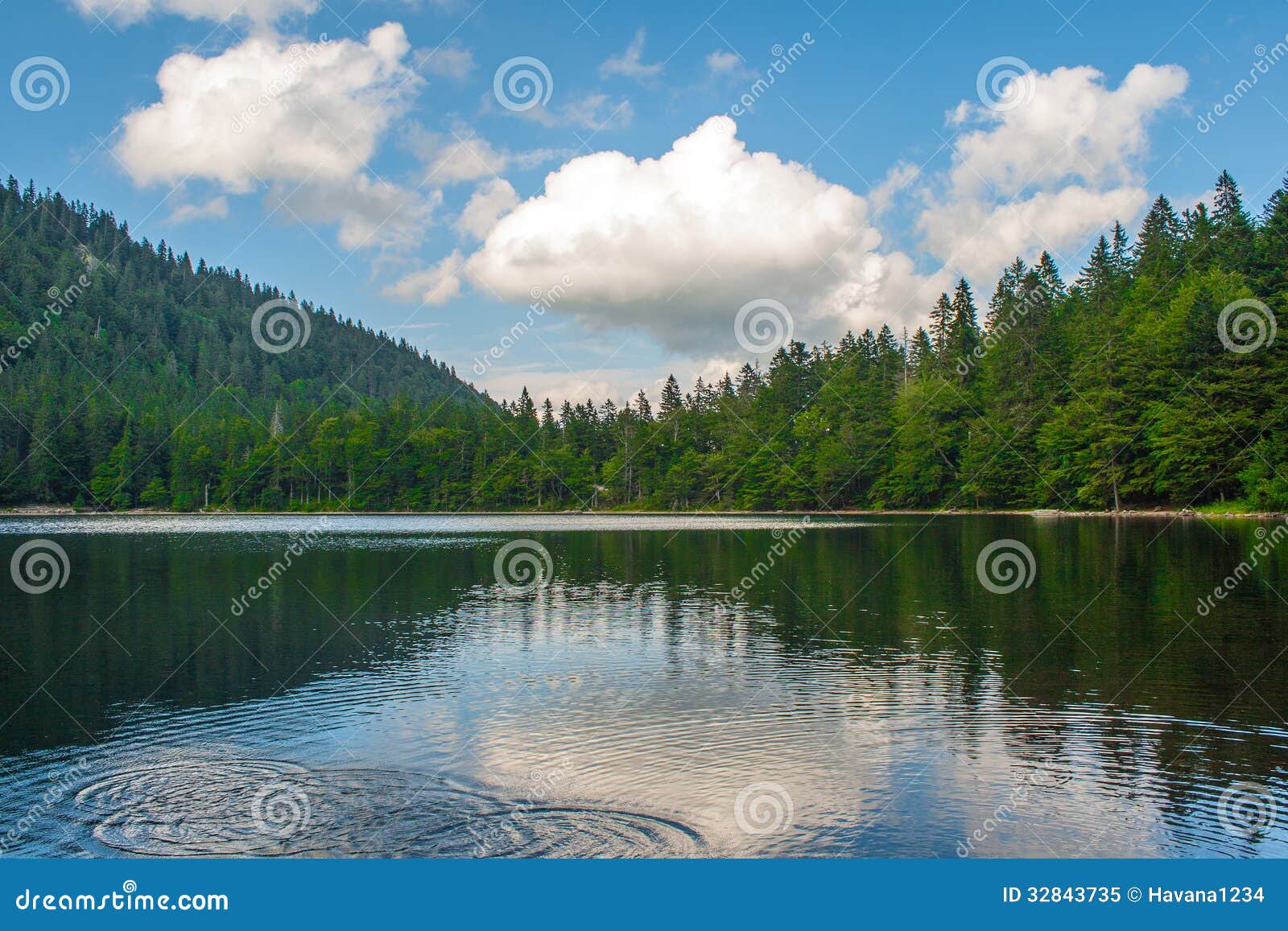 Feldsee in Germany Feldberg Stock Image - Image of schwarzwald, typical ...
