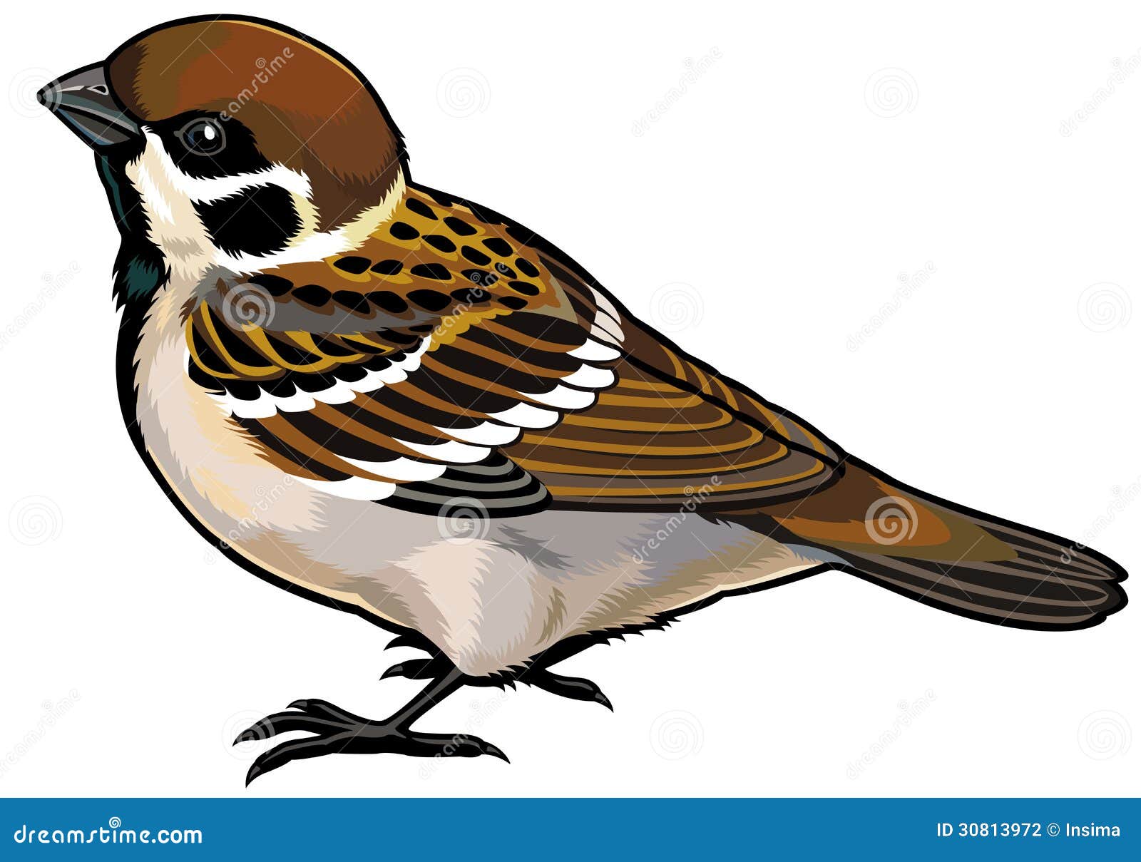 Spatz Stock Illustrationen, Vektoren, & Kliparts - 20,868 Stock ...