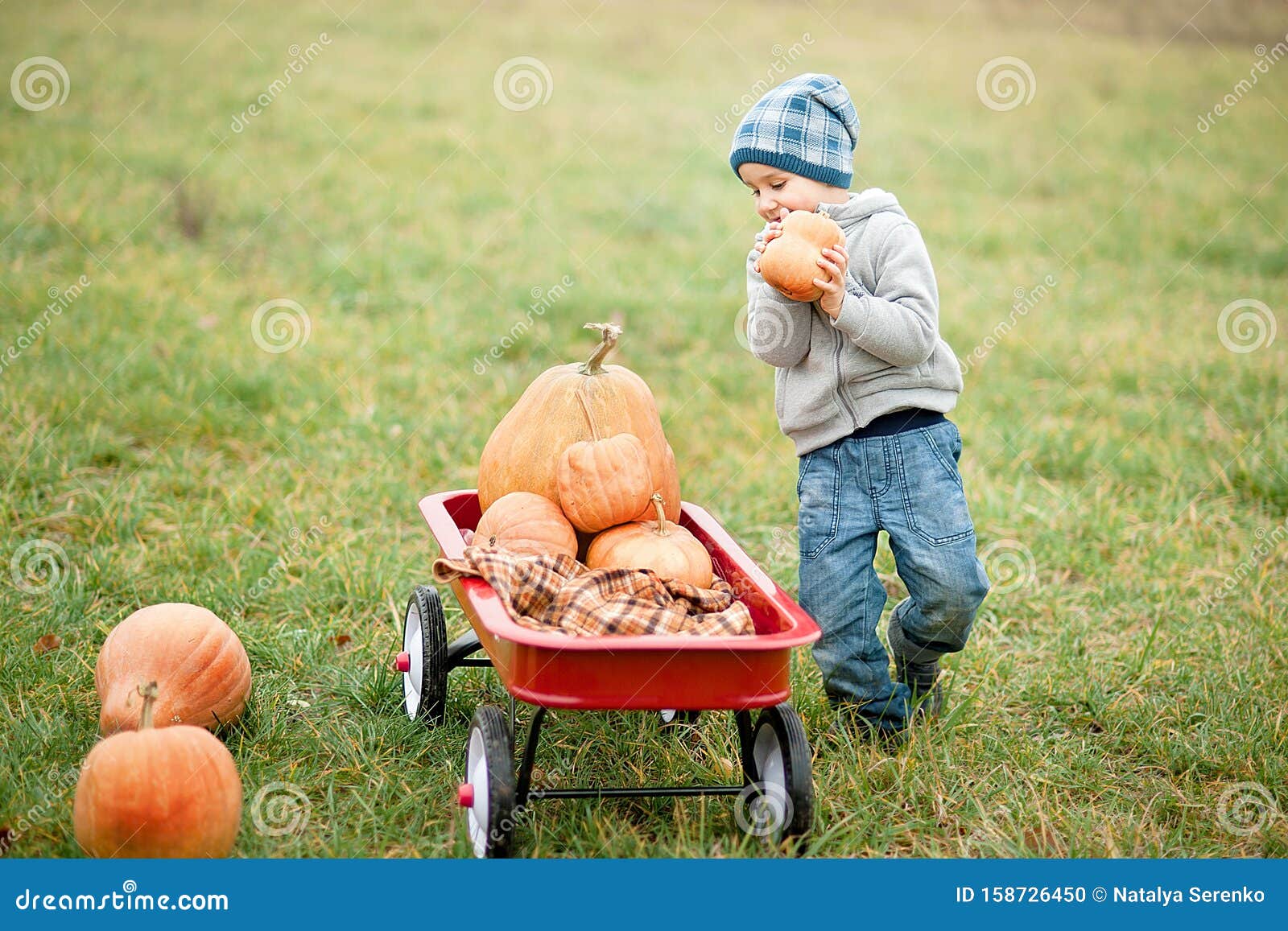Felice Bimbo Sulla Zucca Di Zucca Il Freddo Autunno, Con Un Sacco Di ... Felice Bimbo Sulla Zucca Di Zucca Il Freddo Autunno, Con Un Sacco Di ...