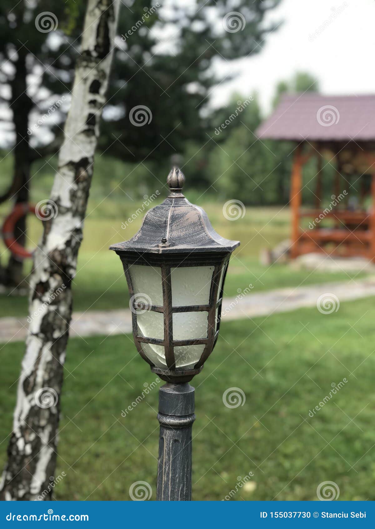 Felinar stock photo. Image of felinar, escape, nature - 155037730