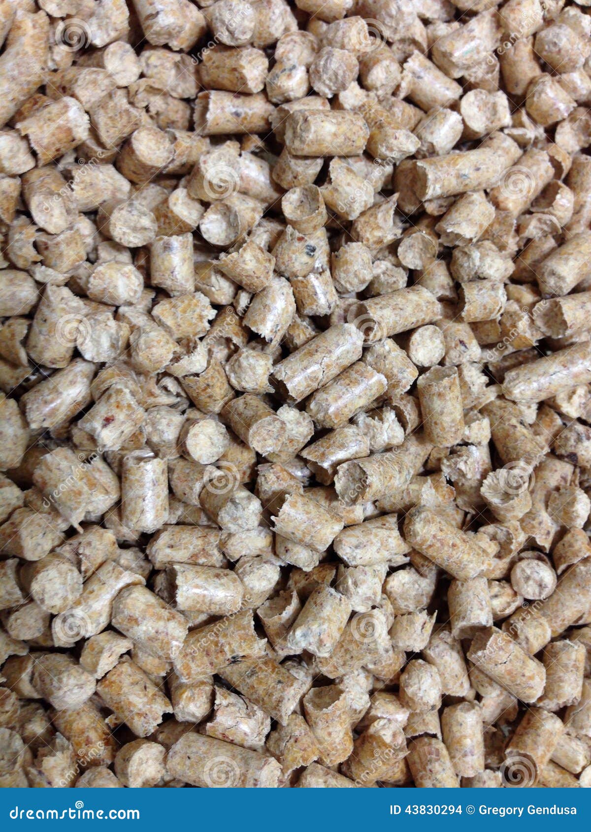 Feline Pine Litter stock photo. Image of feline, fresh - 43830294