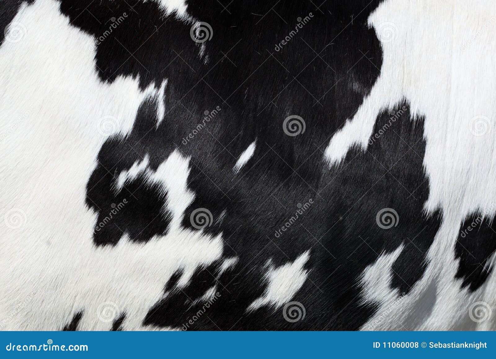 Fell der Kuh stockfoto. Bild von tier, hintergrund, rauh - 11060008