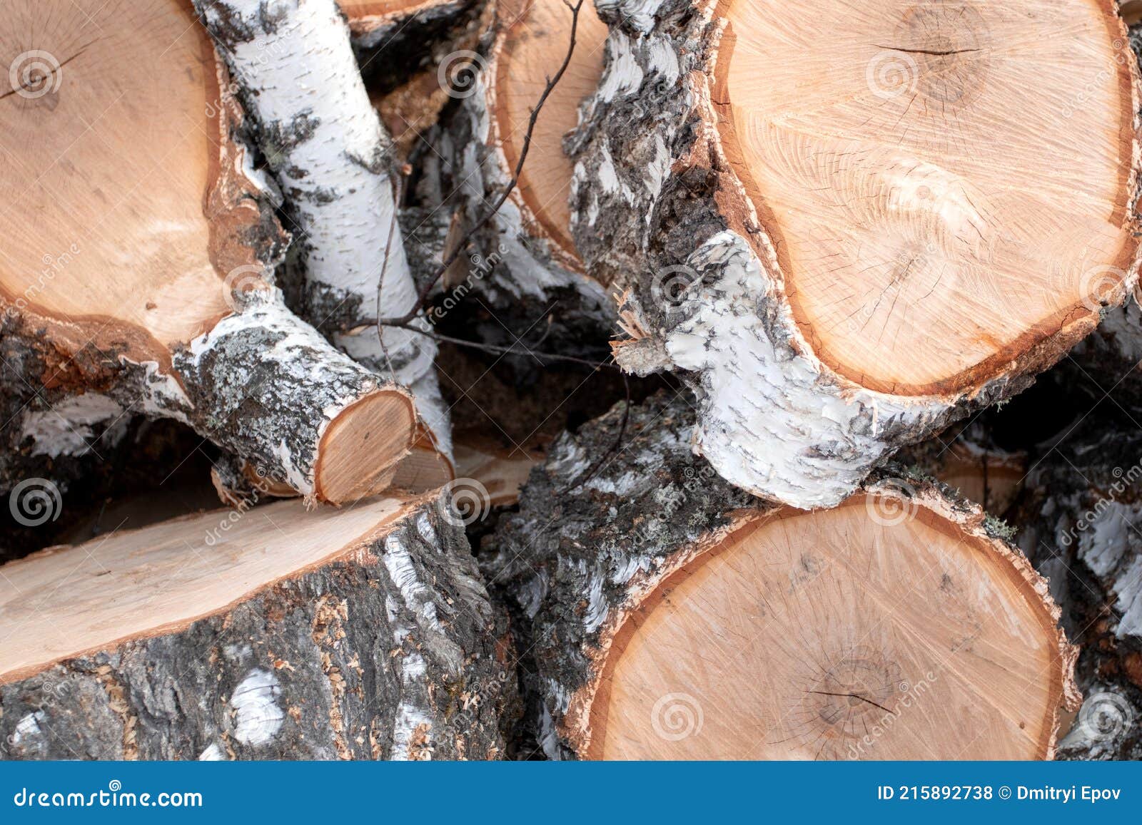 Felled Birch. Birch Stump Pruning Stock Photo - Image of chocks, plank ...