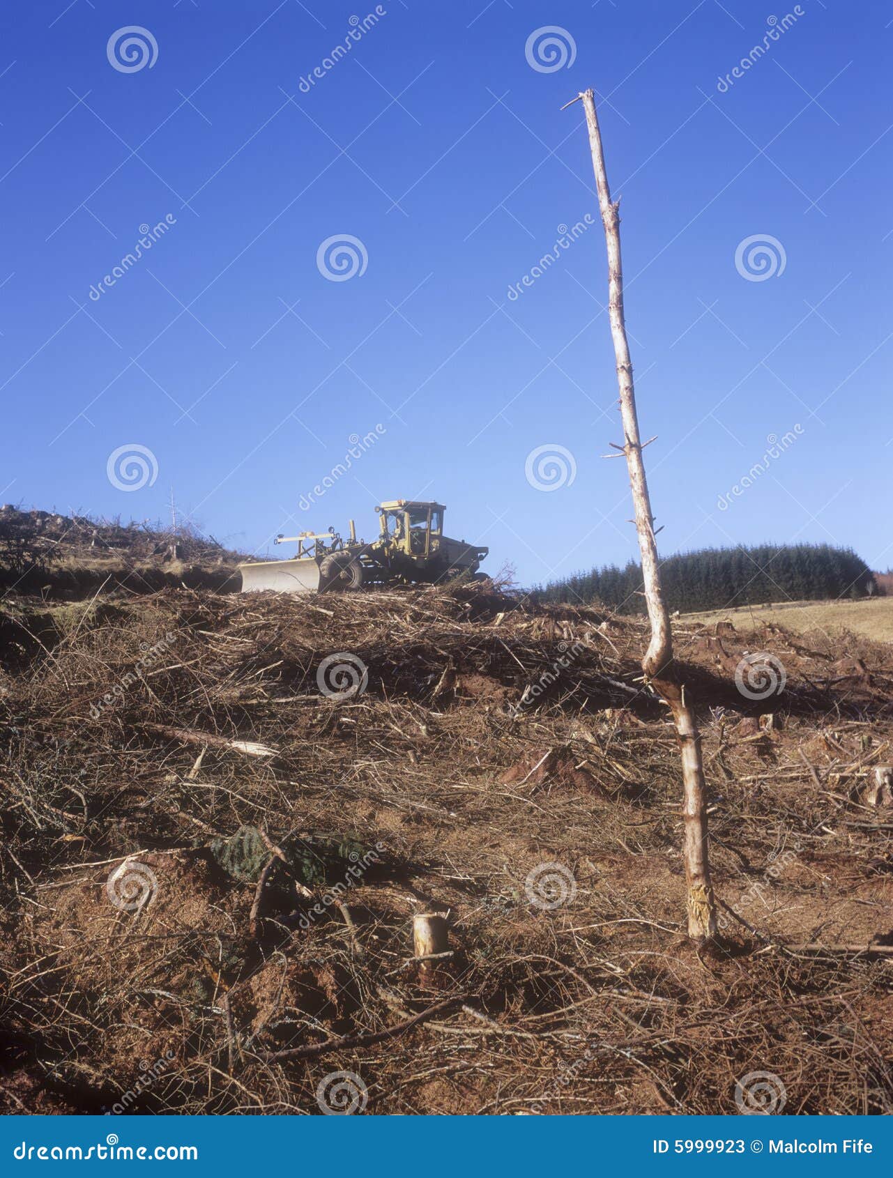 223 Deforestation Scotland Stock Photos - Free & Royalty-Free Stock ...