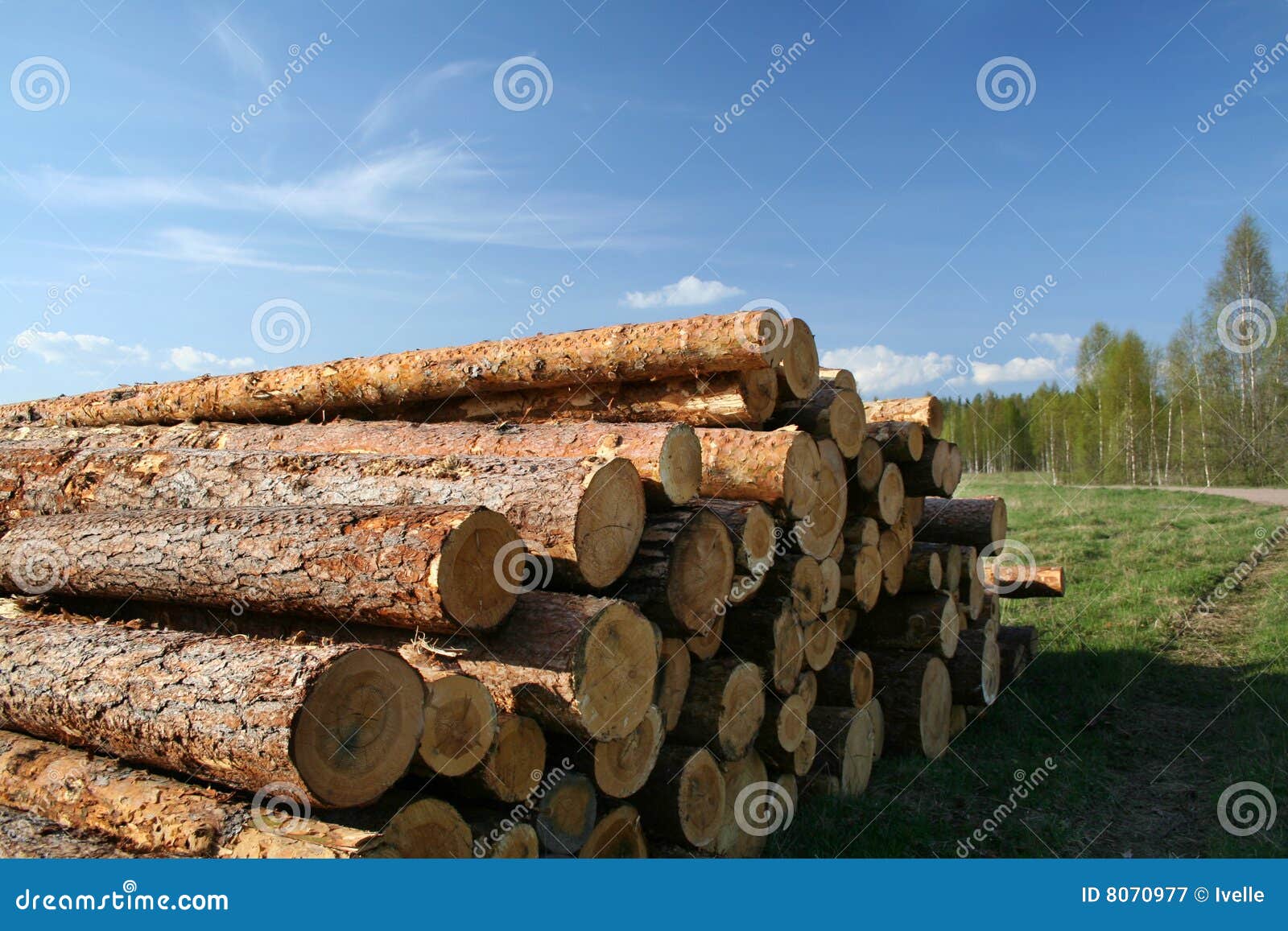 Felled trees stock image. Image of environment, backgrounds - 8070977