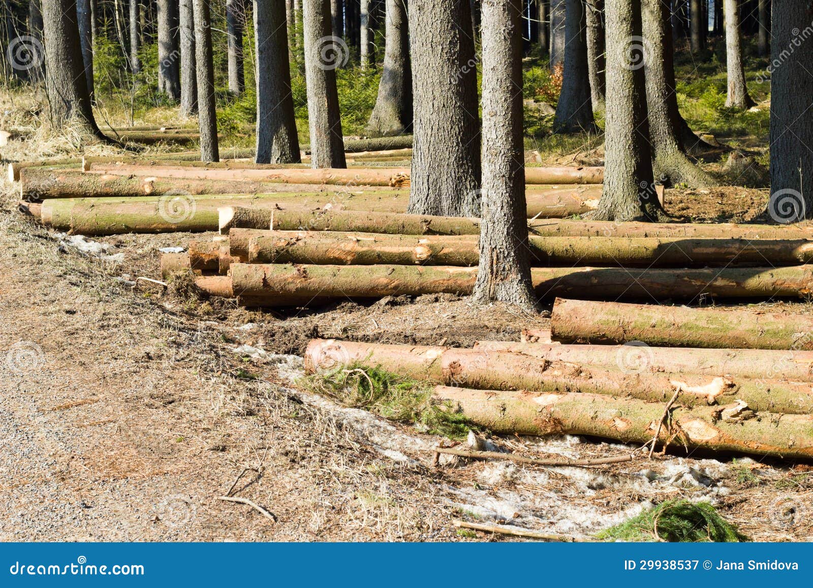 Felling timber stock image. Image of preparation, material - 29938537