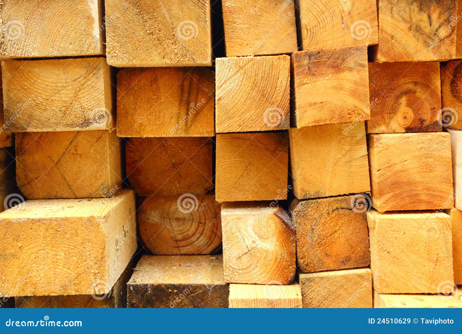 Felled wood stock image. Image of slashed, lots, pile - 24510629