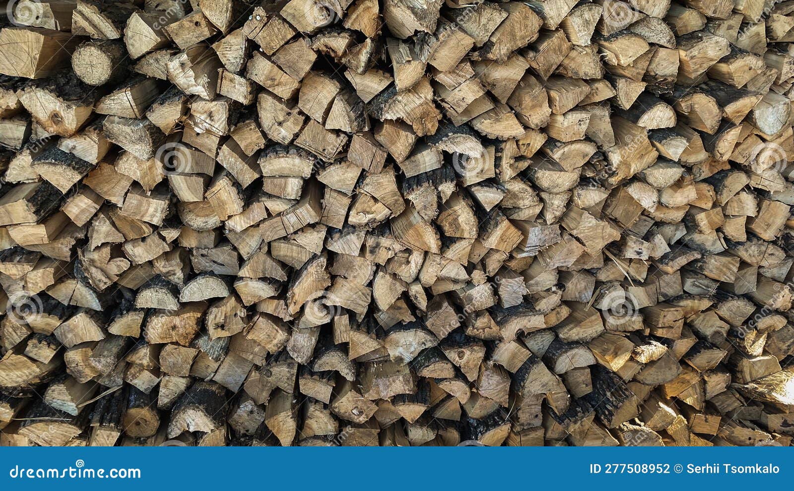 Felled wood texture stock photo. Image of warehouse - 277508952