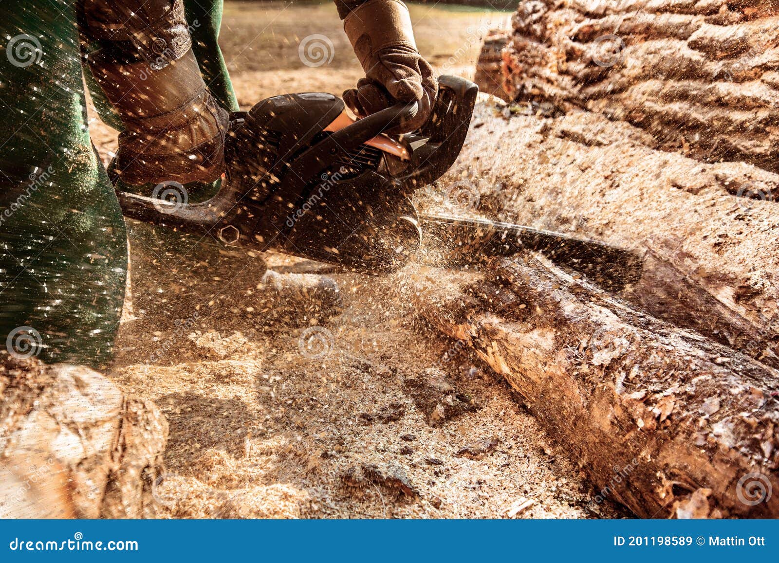 Falling, Felling Logs In Forest, With Pile Of Cut Logs And Edge Of Wood ...