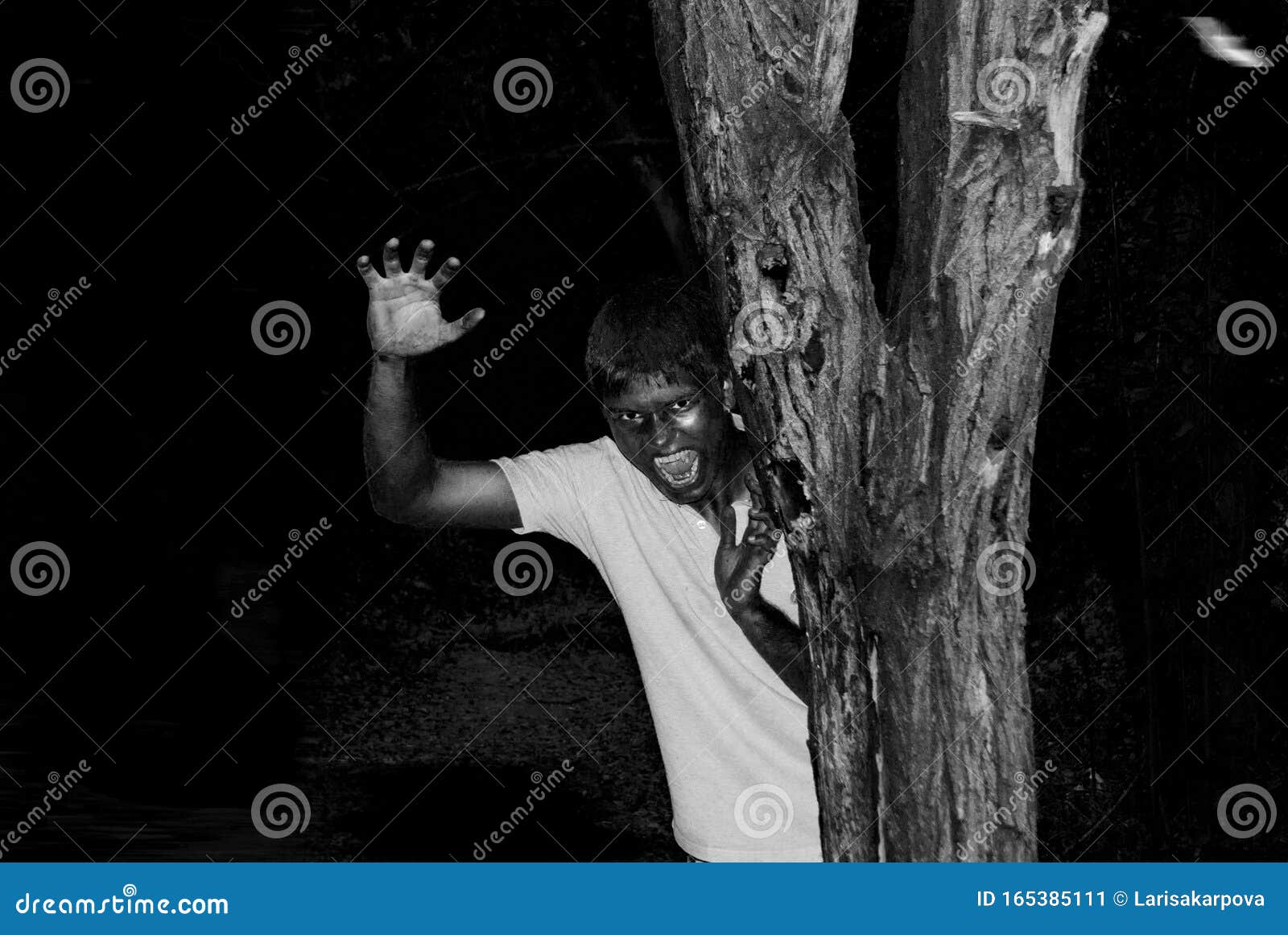 Fellow Vampire Looks from the Tree Night Stock Image - Image of looks ...