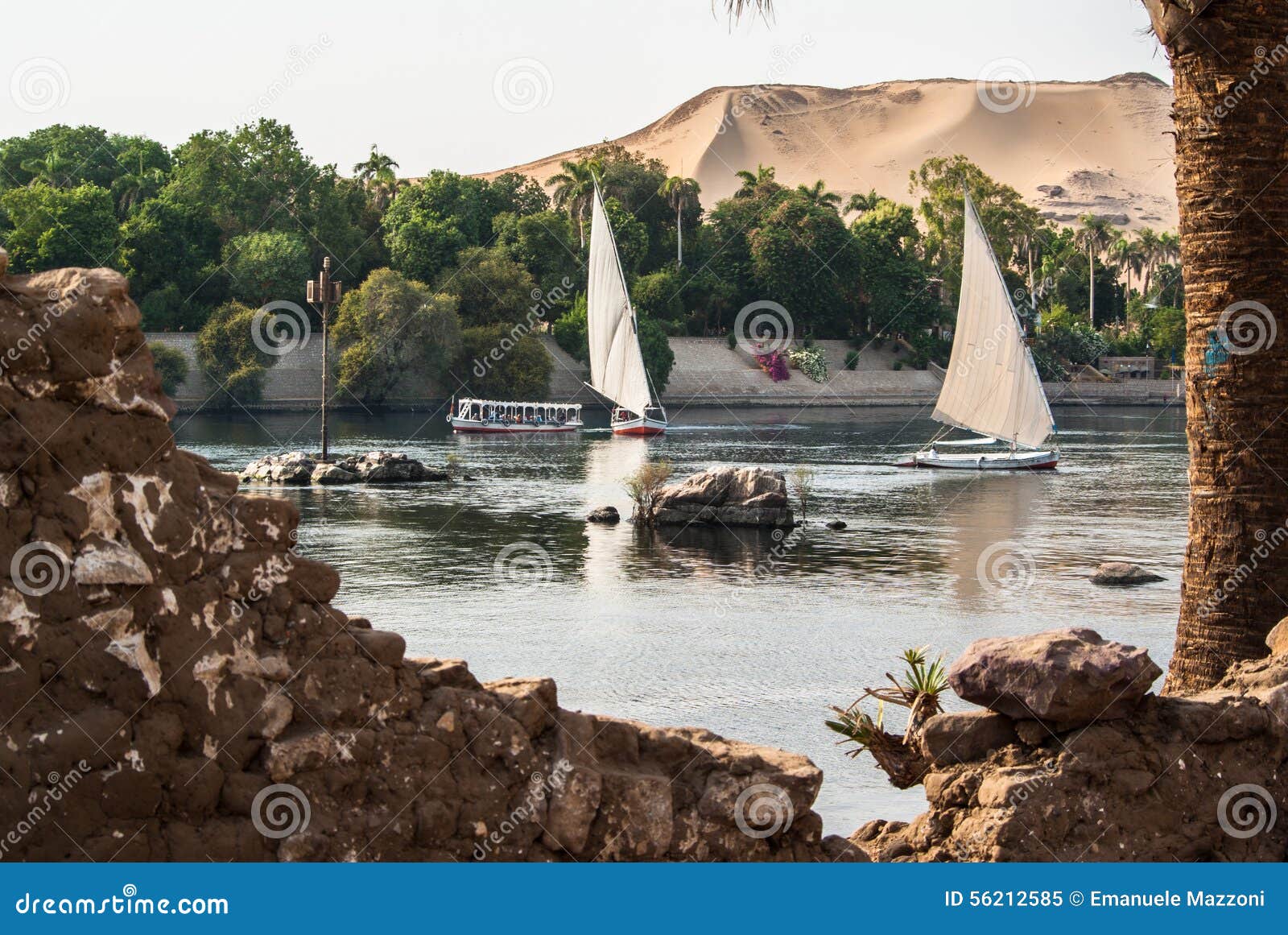 Felluca su Nilo, Egitto immagine stock. Immagine di uomo - 56212585