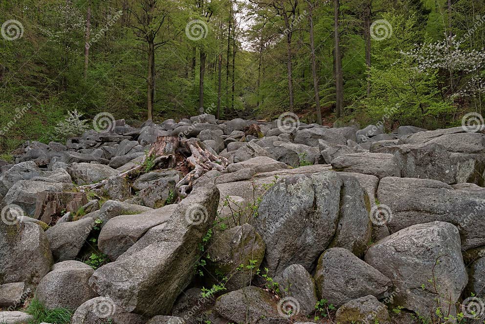 Felsenmeer stock image. Image of cliff, nature, boulder - 72962277