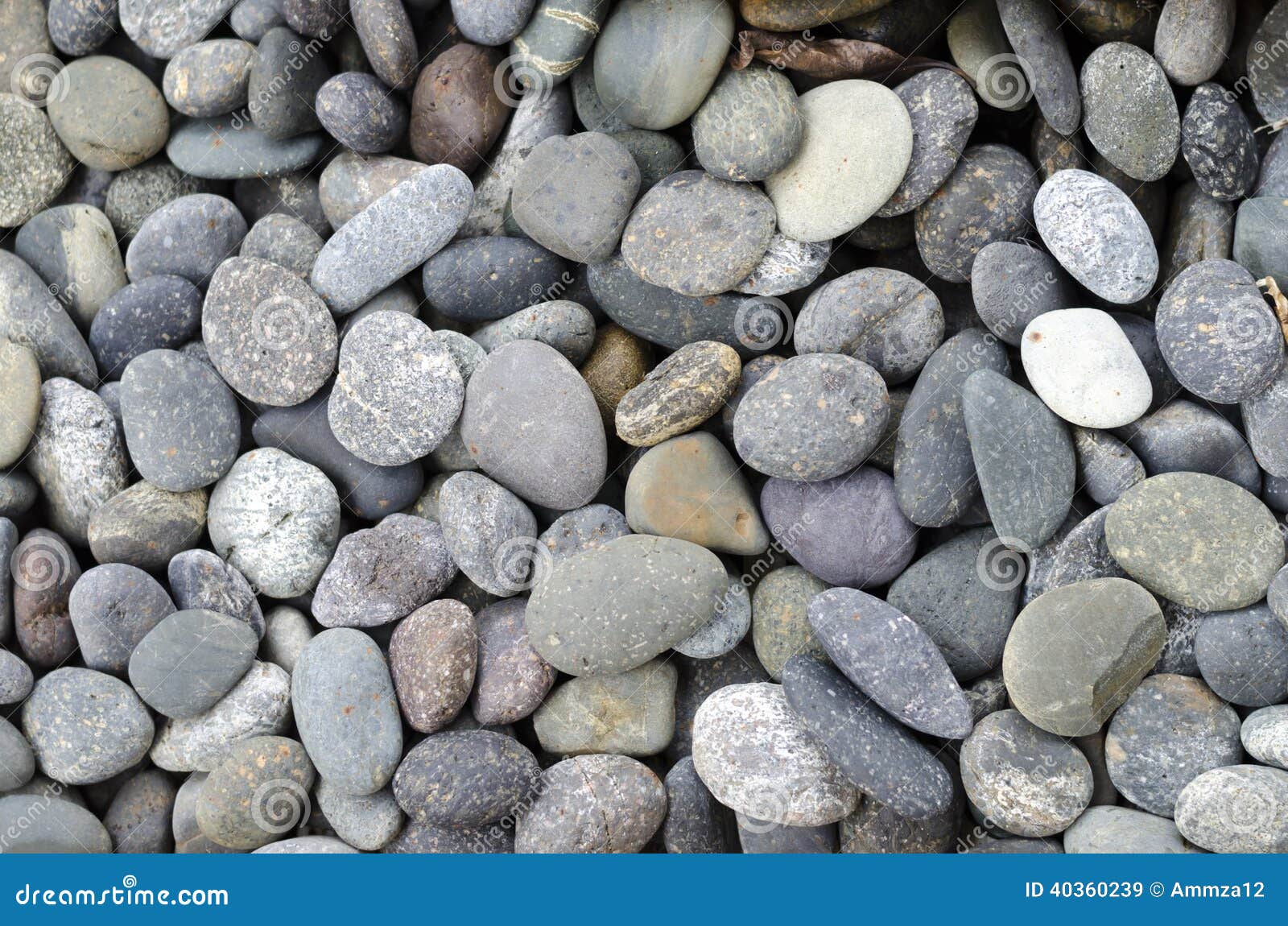 Felsenstein stockbild. Bild von nave, felsen, getrennt - 40360239