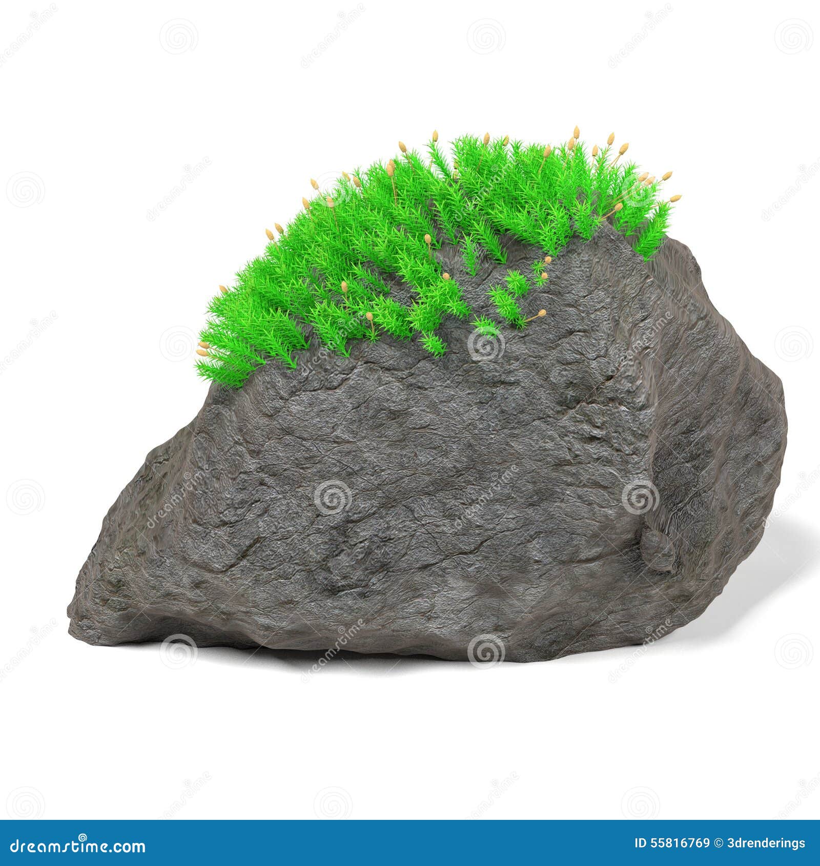 Felsenstein mit Moos stock abbildung. Illustration von wald - 55816769