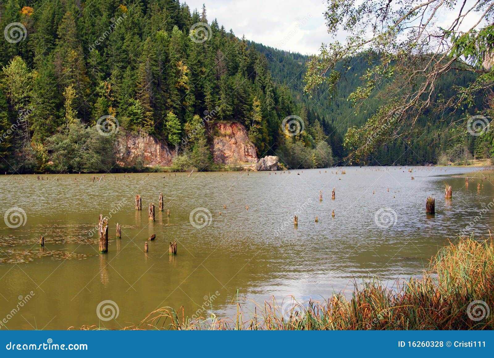 Felsige Ceahlau Spitze Und Roter See Stockfoto - Bild von dauer ...