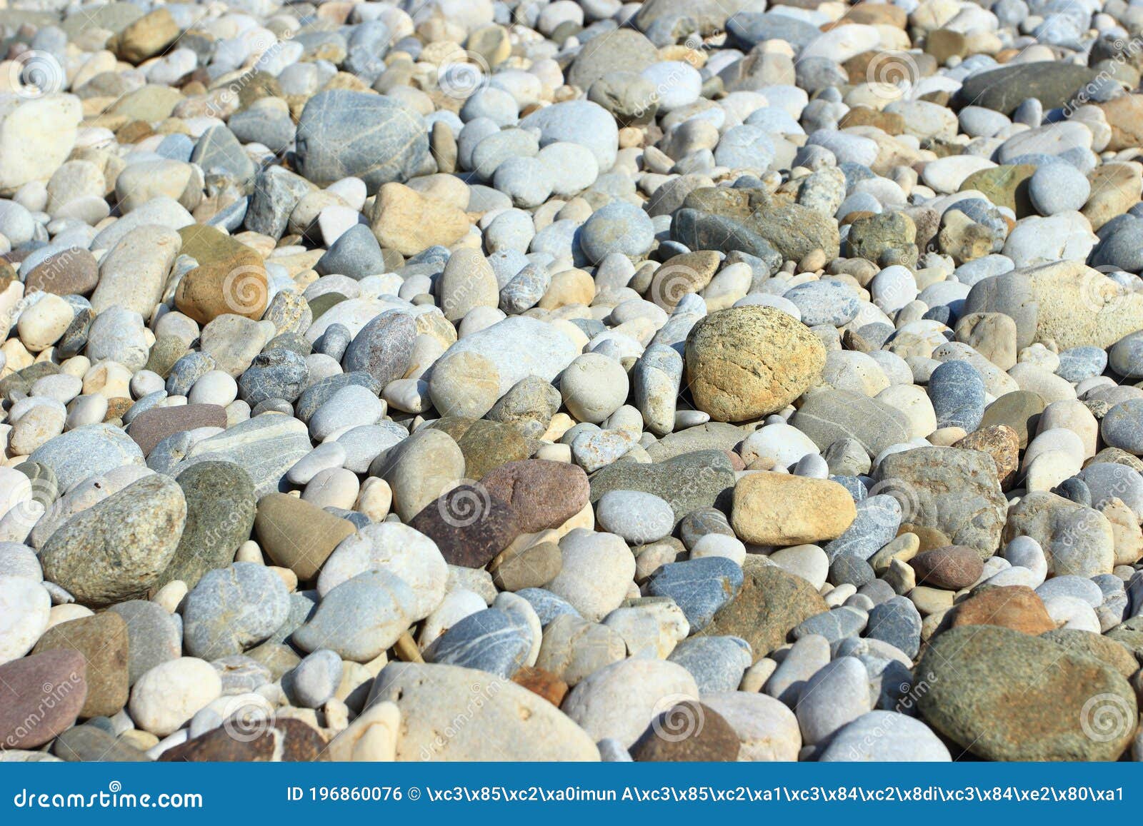 Felsige Kieselstein Auf Dem Strand Stockfoto - Bild von sedimentär ...