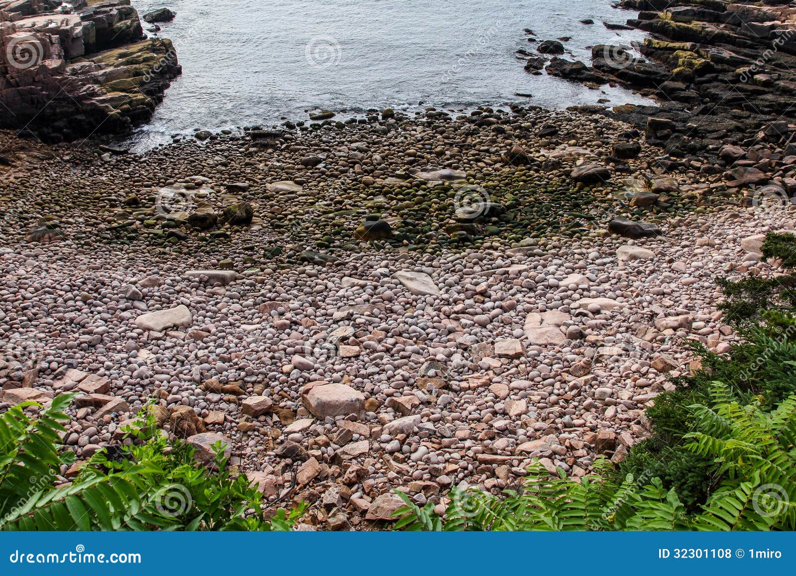 Felsiger Strand stockfoto. Bild von acadia, sommer, maine - 32301108